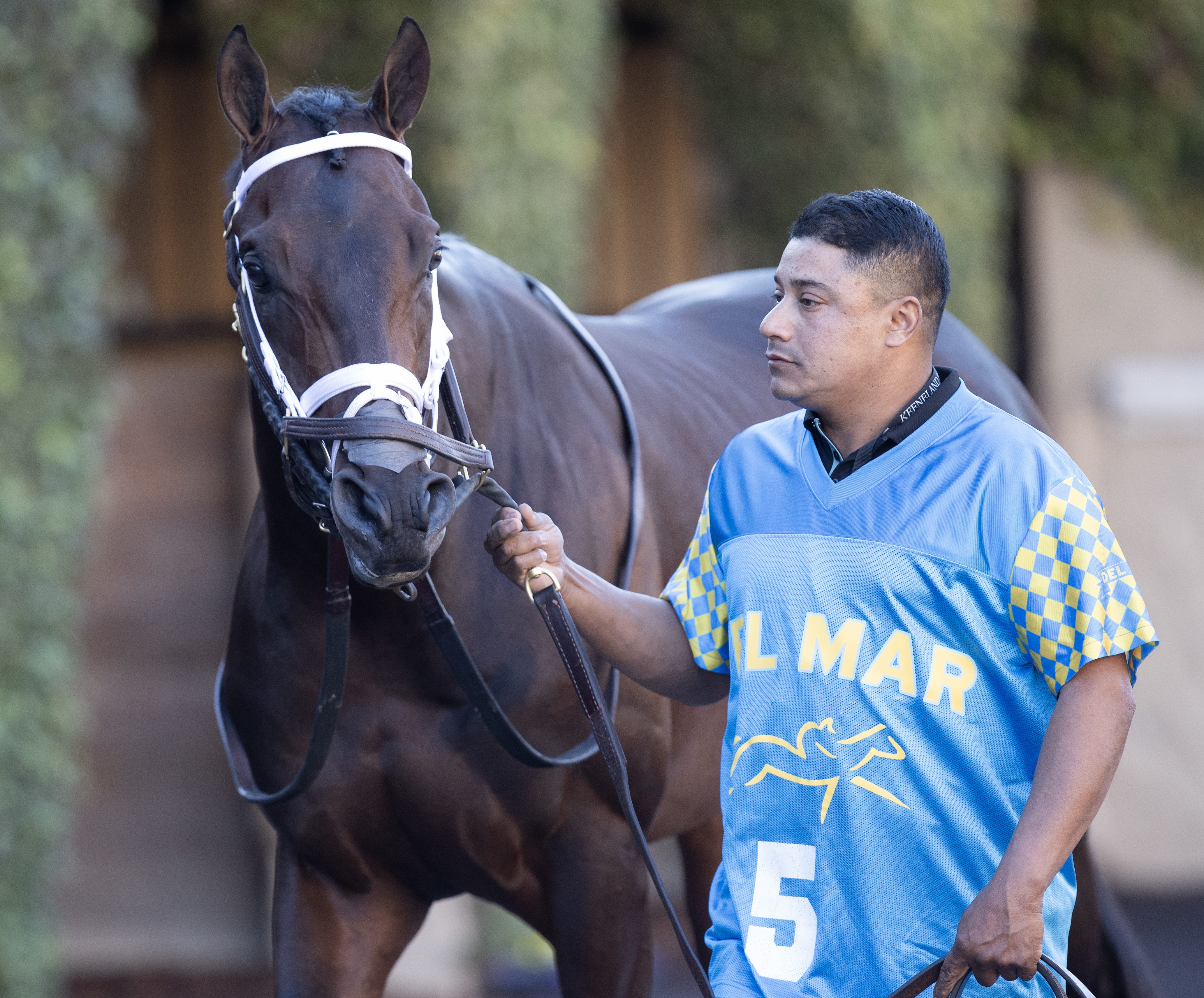 Kentucky Derby 2025: Bullard likely headed to Lexington Stakes