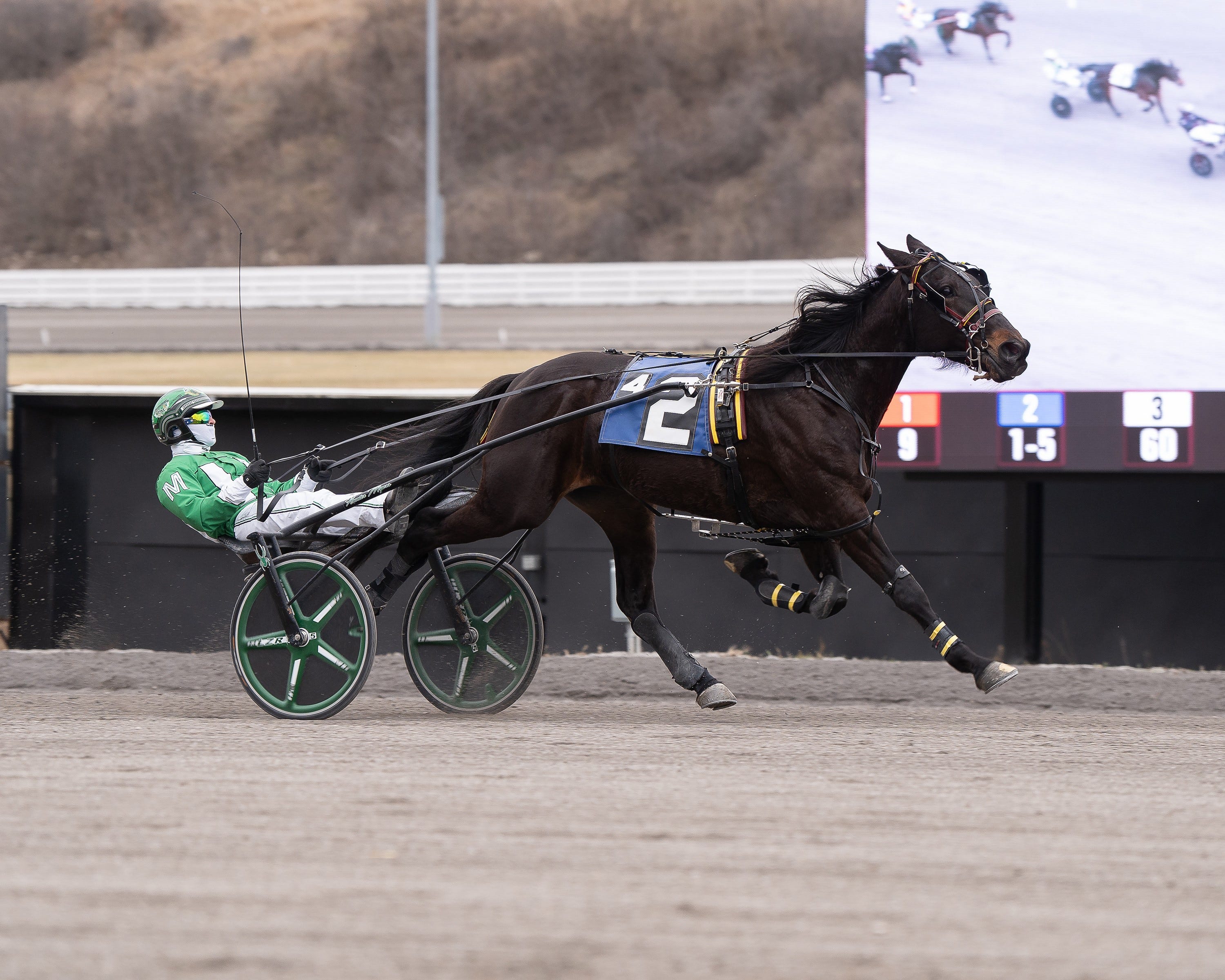 The Meadows: Mucci motoring with Colorado Joe