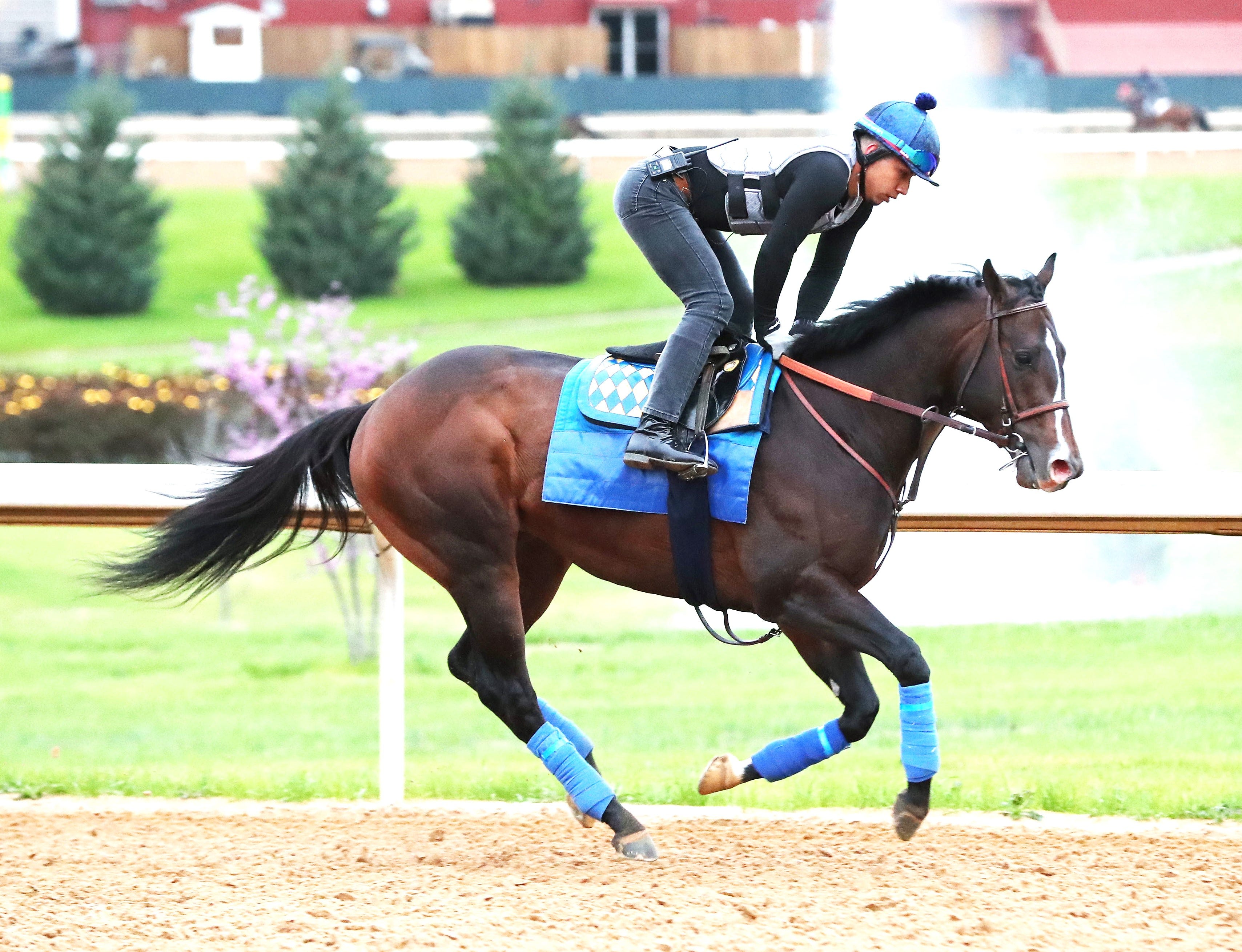 Arkansas Derby: Cornucopian gets acid test in second career start