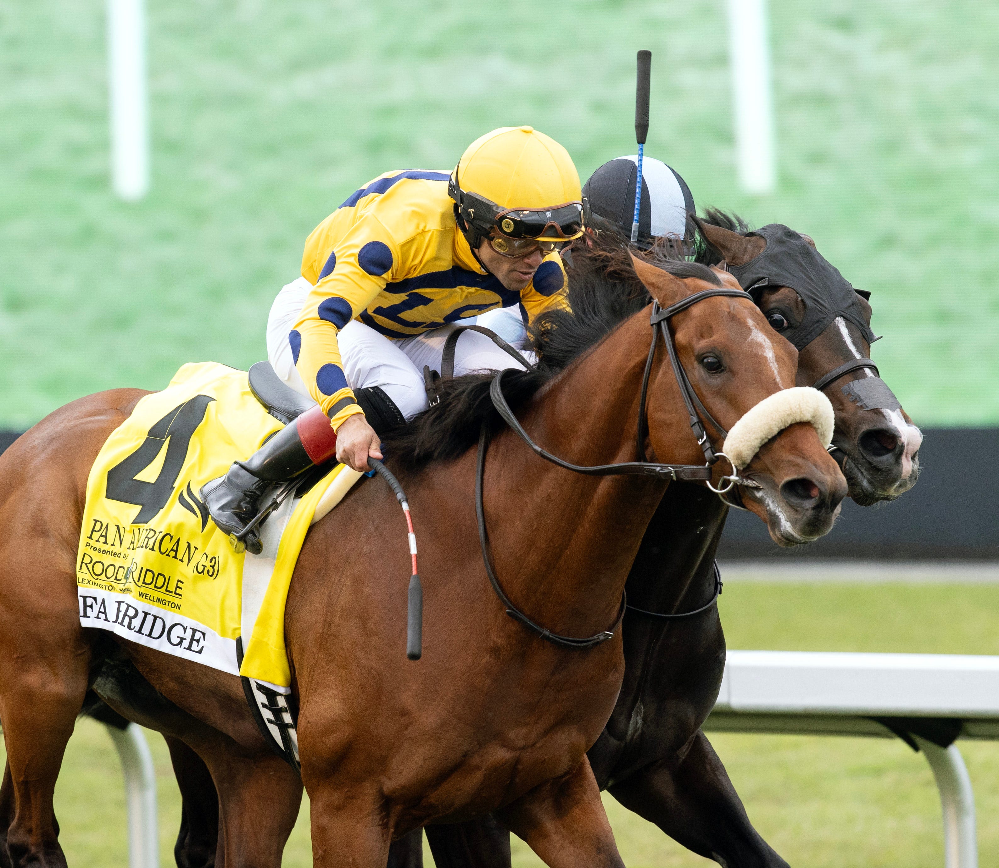 Far Bridge just too classy with game victory in Pan American