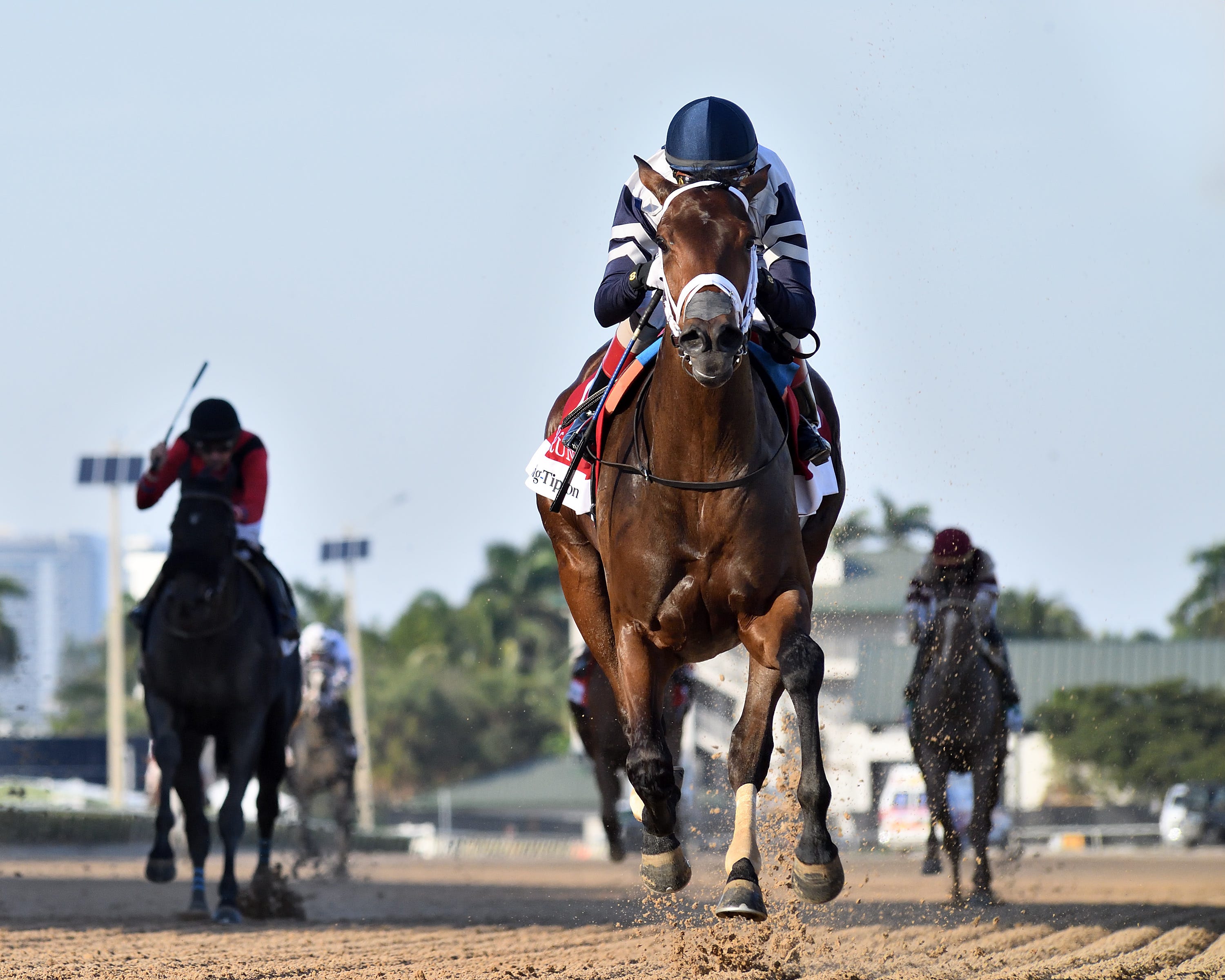 Five G looks to continue dirt success against Joseph pair in Gulfstream ...