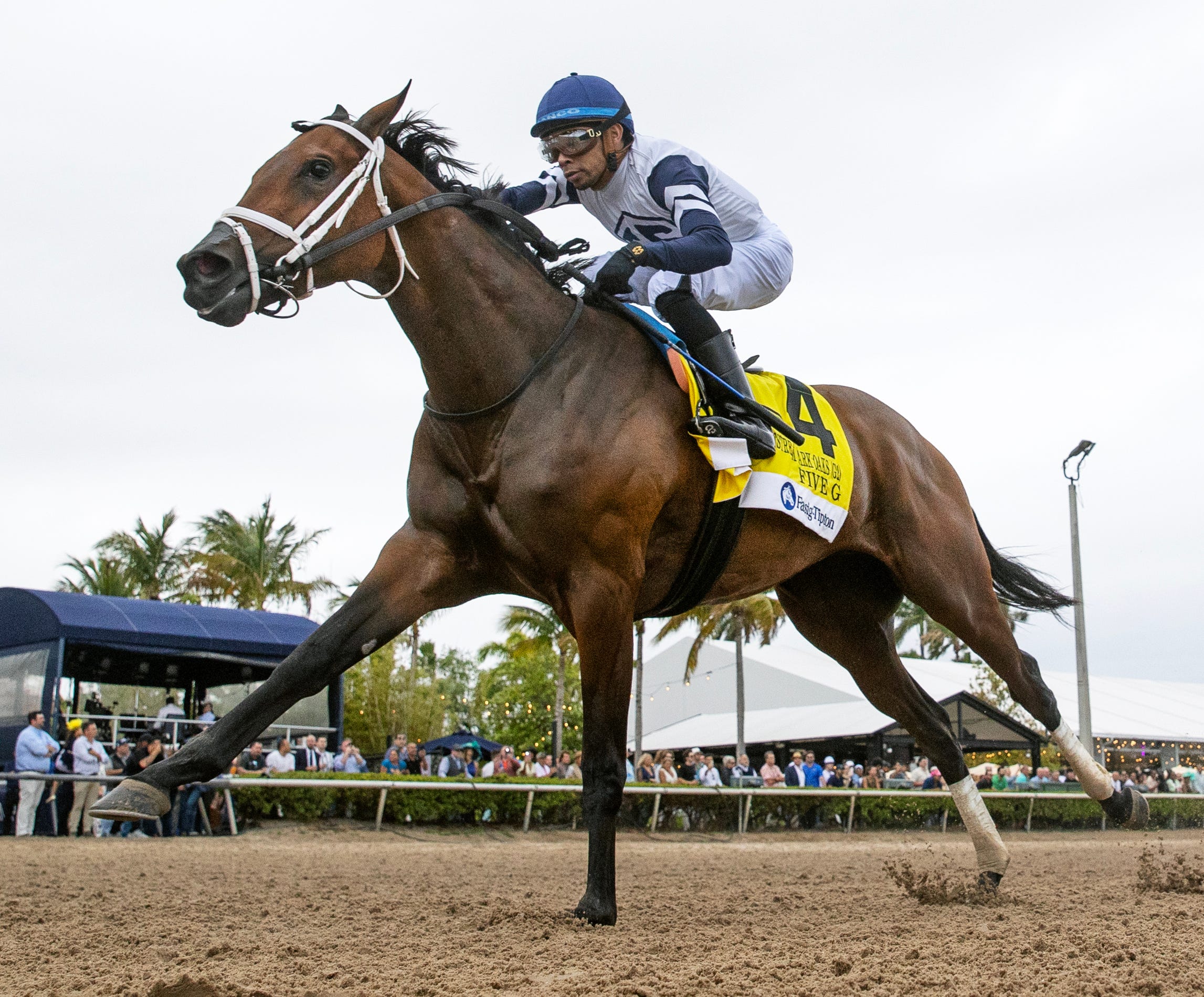 Five G clinches Kentucky Oaks berth with victory in Gulfstream Park Oaks