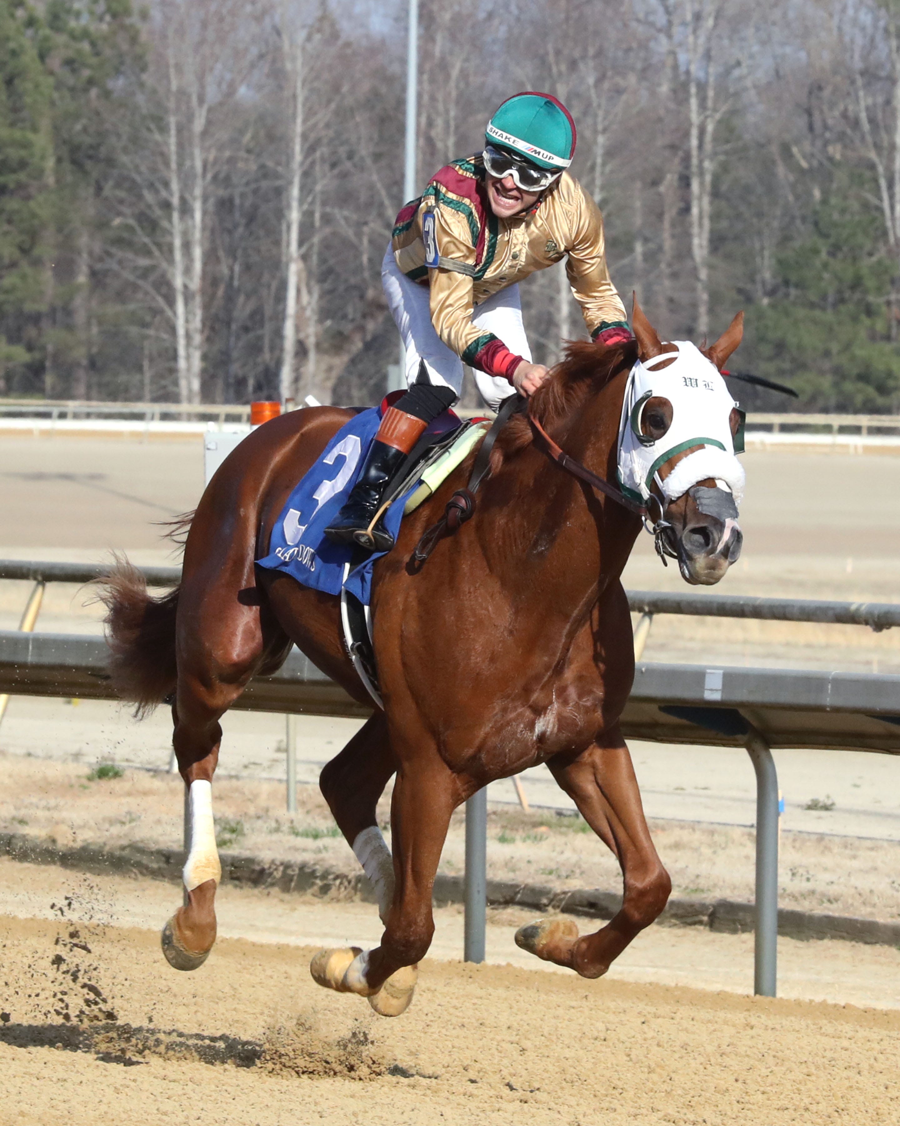 Lukas finds new route to Derby with American Promise’s Virginia Derby win