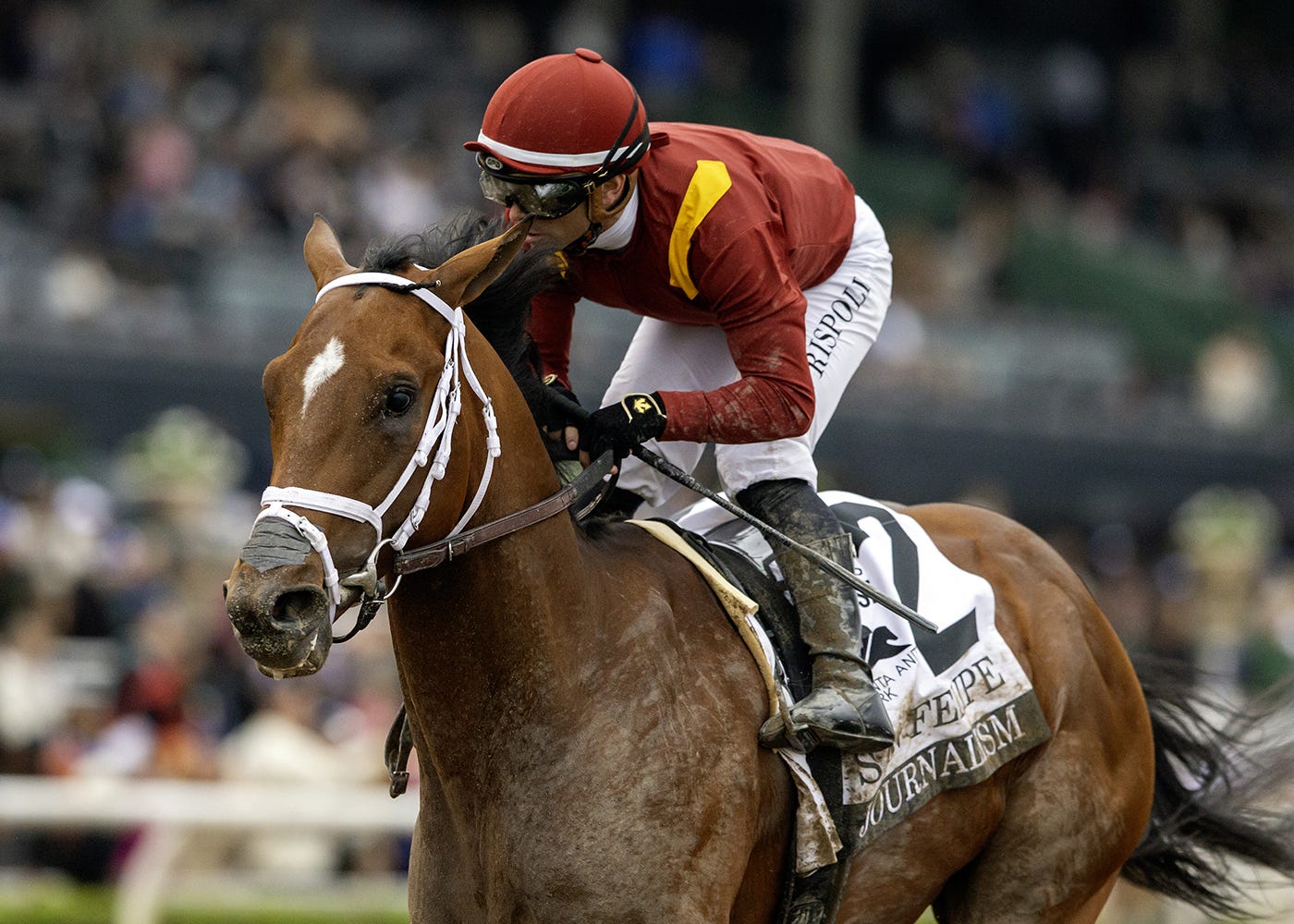 Field of five expected for points-reduced Santa Anita Derby