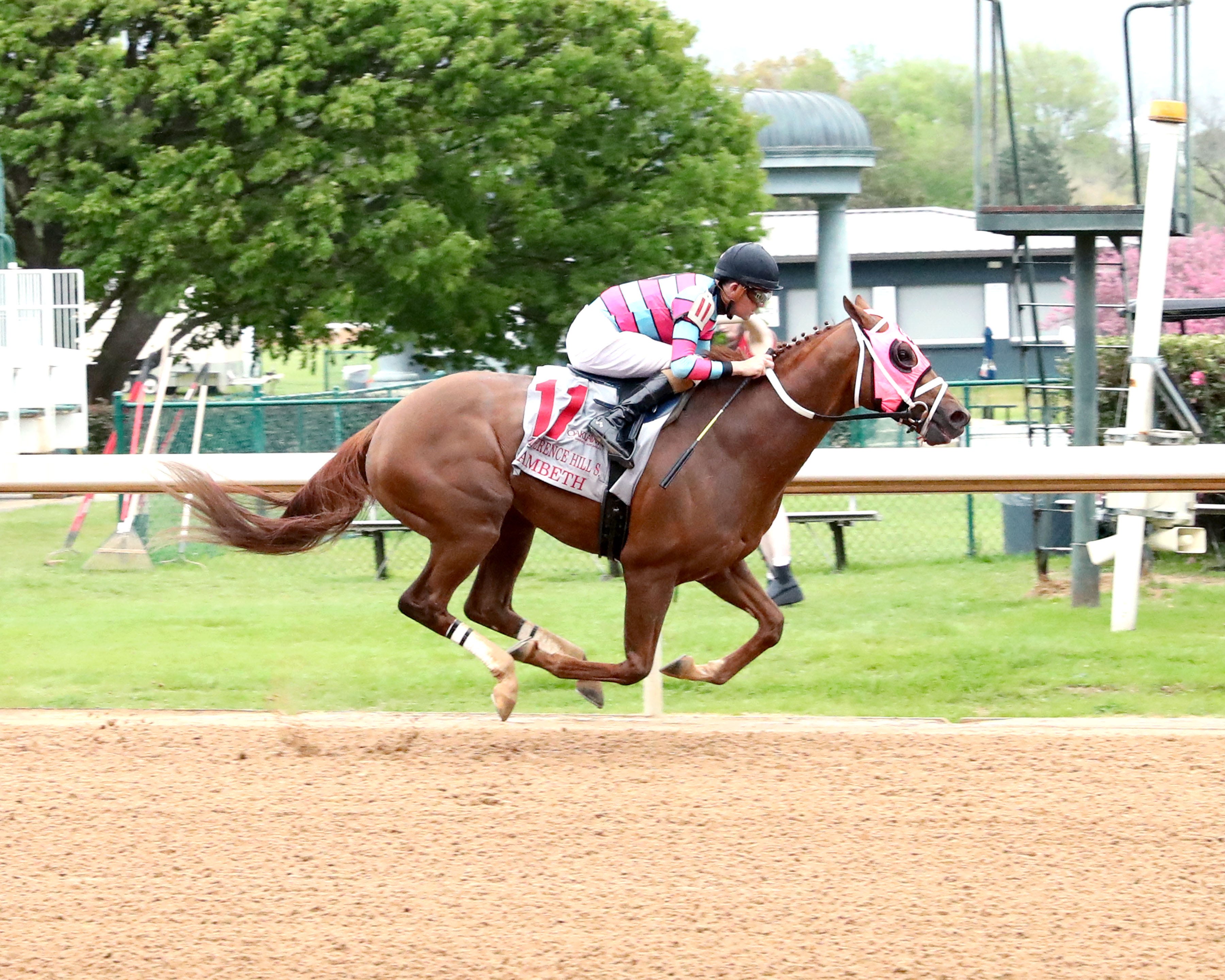 Lambeth wires the Temperance Hill; Rose Palace upsets the LaPatourel