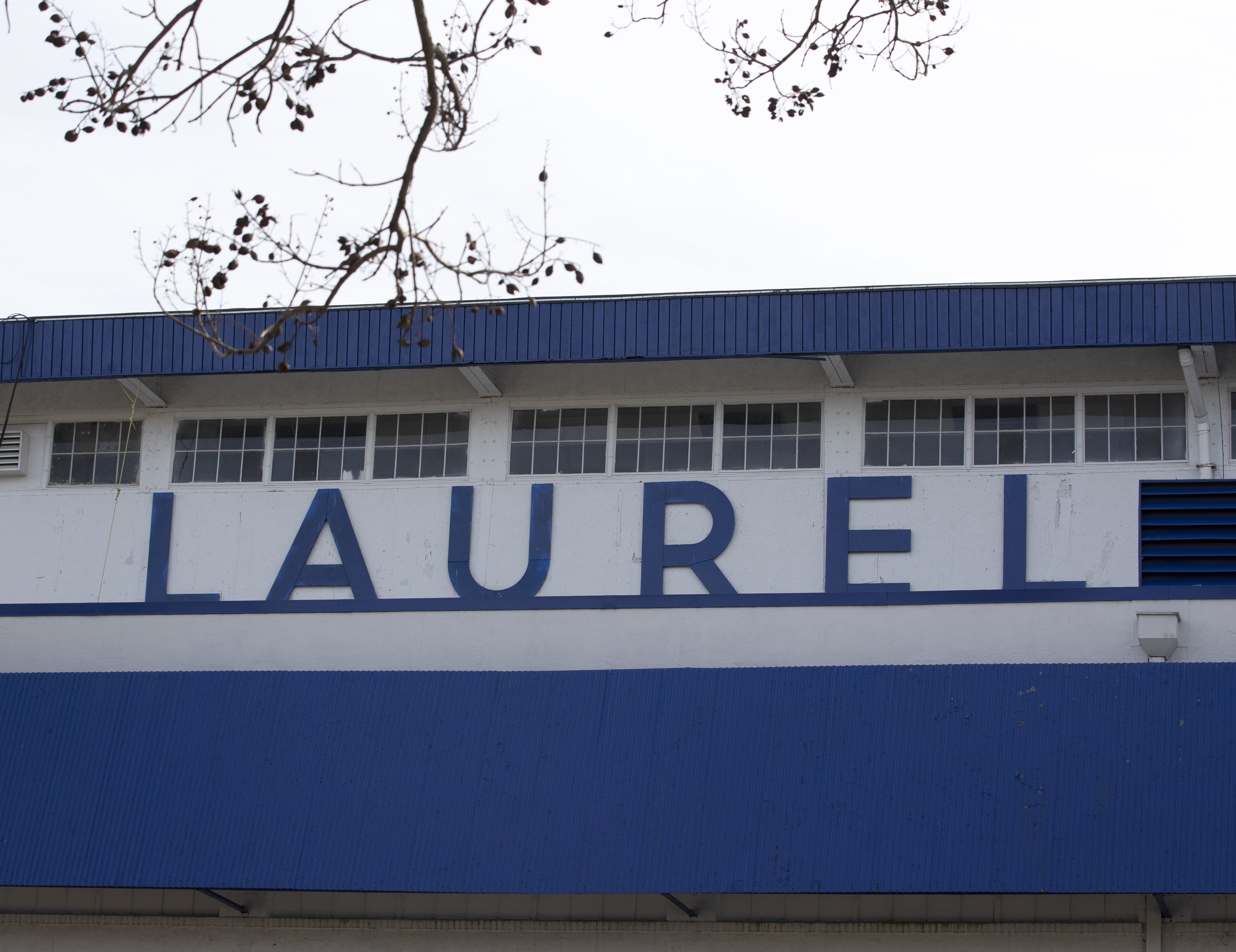 Laurel barn placed under quarantine after case of equine herpesvirus found