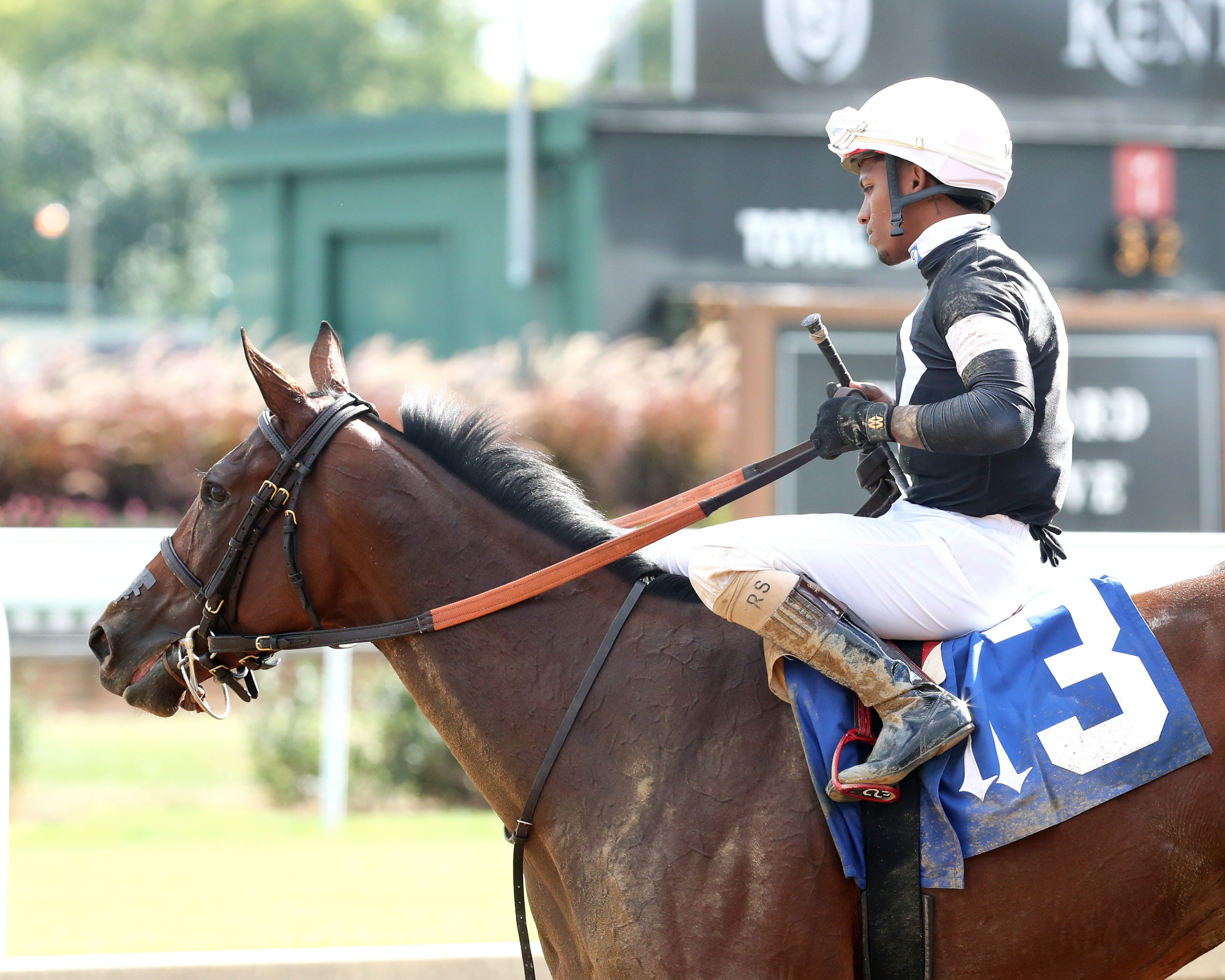 Eight entered for Ashland as Keeneland spring meet begins