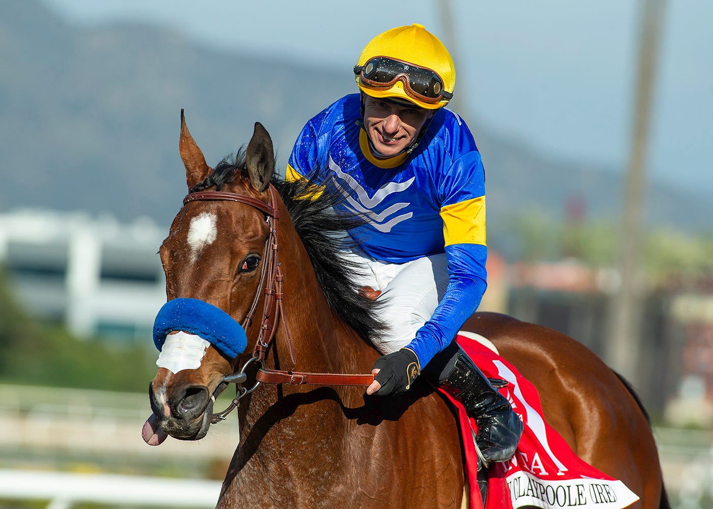 Lady Claypoole's likely next start could be Gamely Stakes