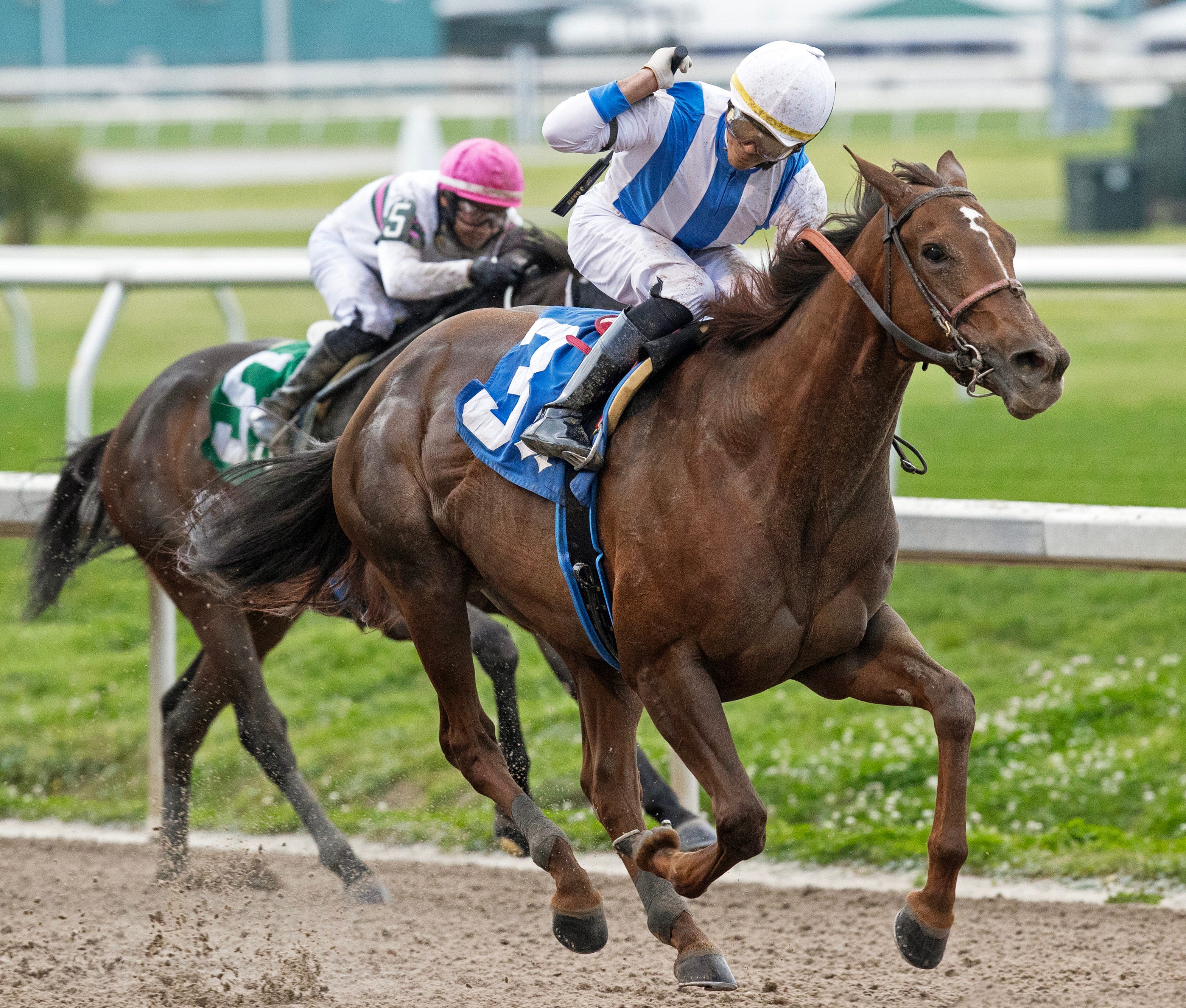 Liberal Lady's triumph in Shantel Lanerie Memorial caps big day for ...