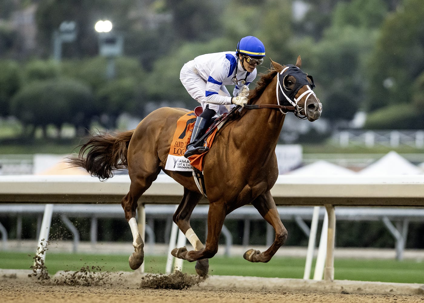Pletcher ready to pack a wallop in older male division