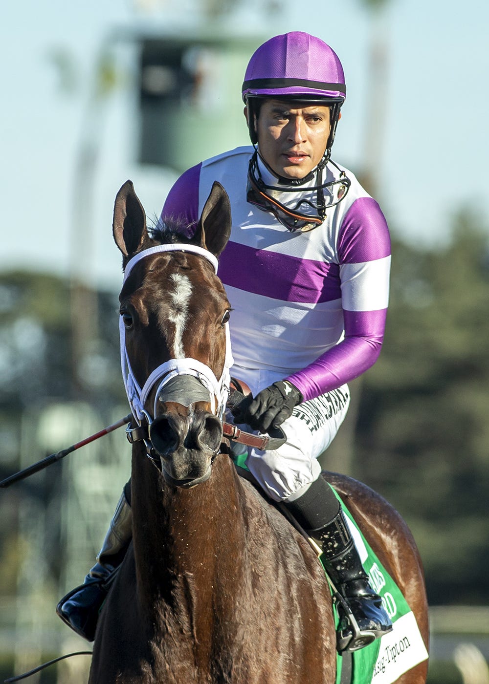 Mario Gutierrez moves to Kentucky