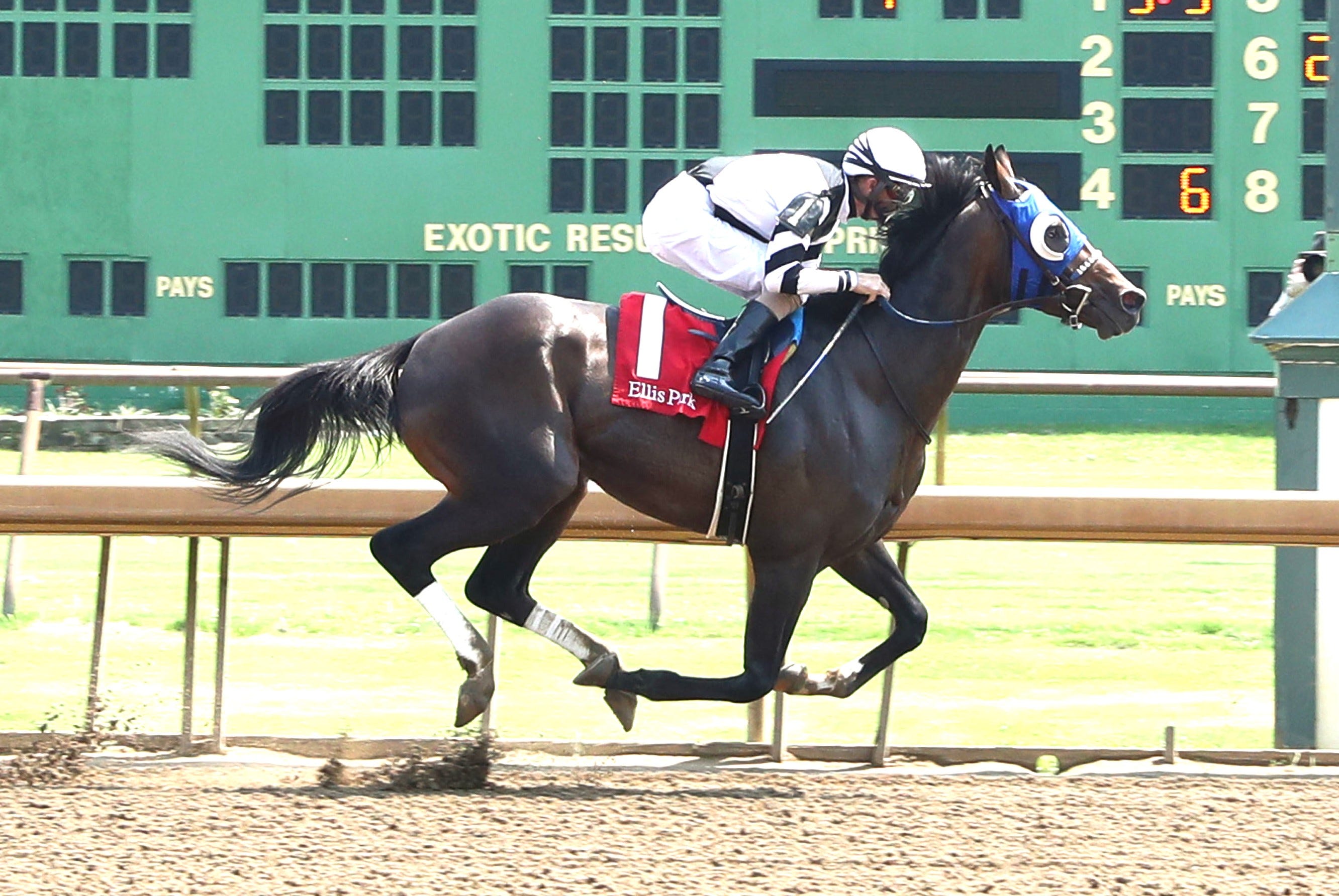 Weekend GamePlan: Picks for Louisiana Derby, Jeff Ruby, San Luis Rey