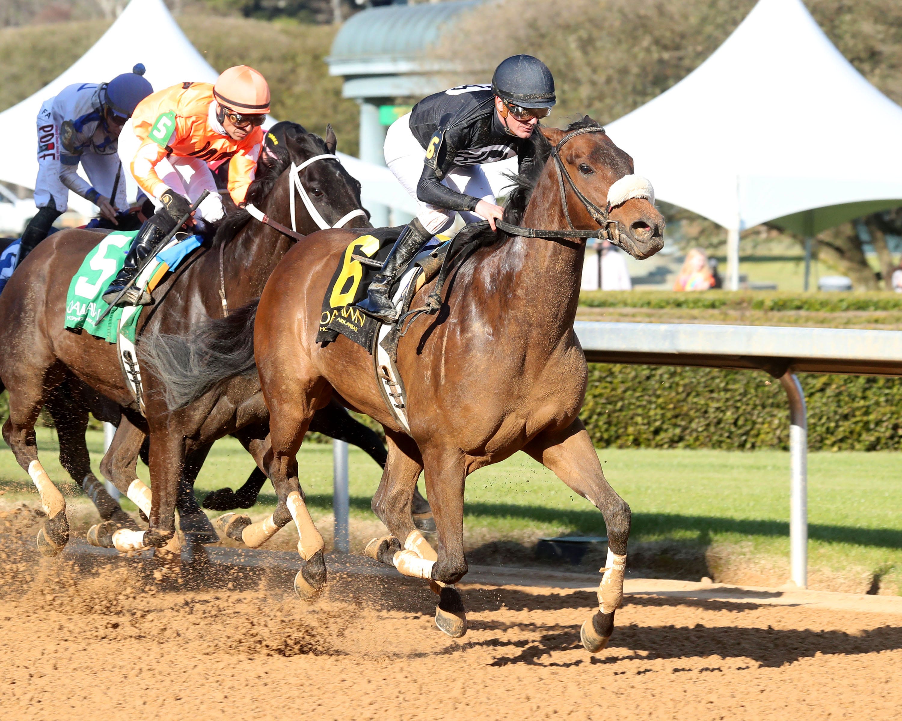 Navy Seal sails to first stakes win in Nodouble upset