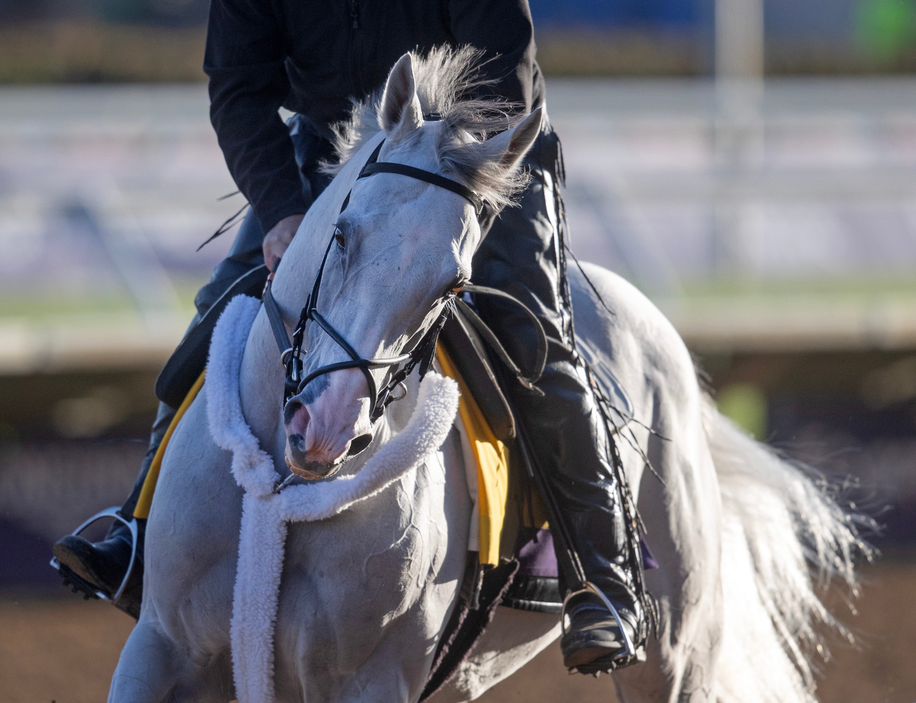 Next working again, but no plans yet for 7-year-old debut start