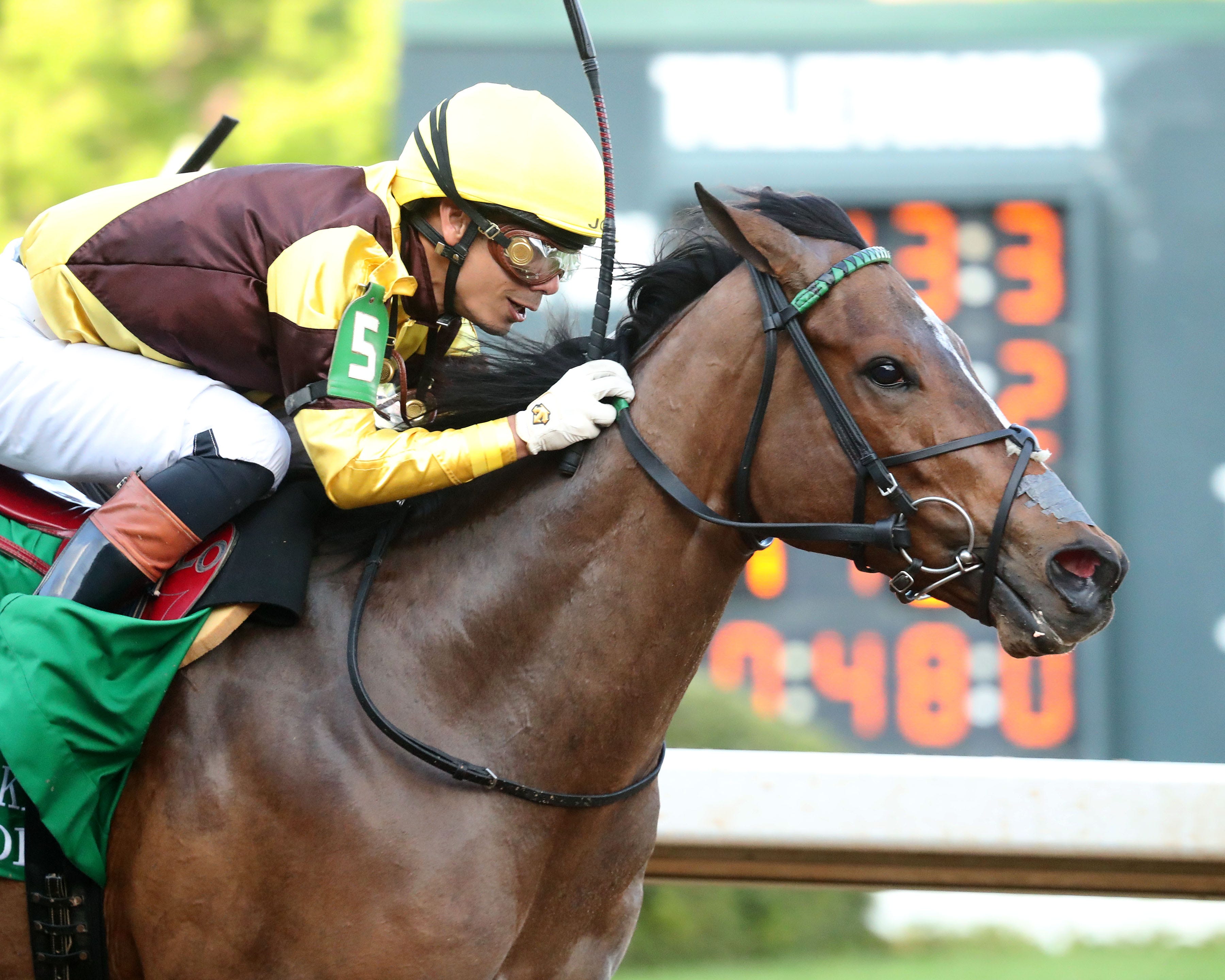 Quietside wears down Simply Joking in Fantasy Stakes