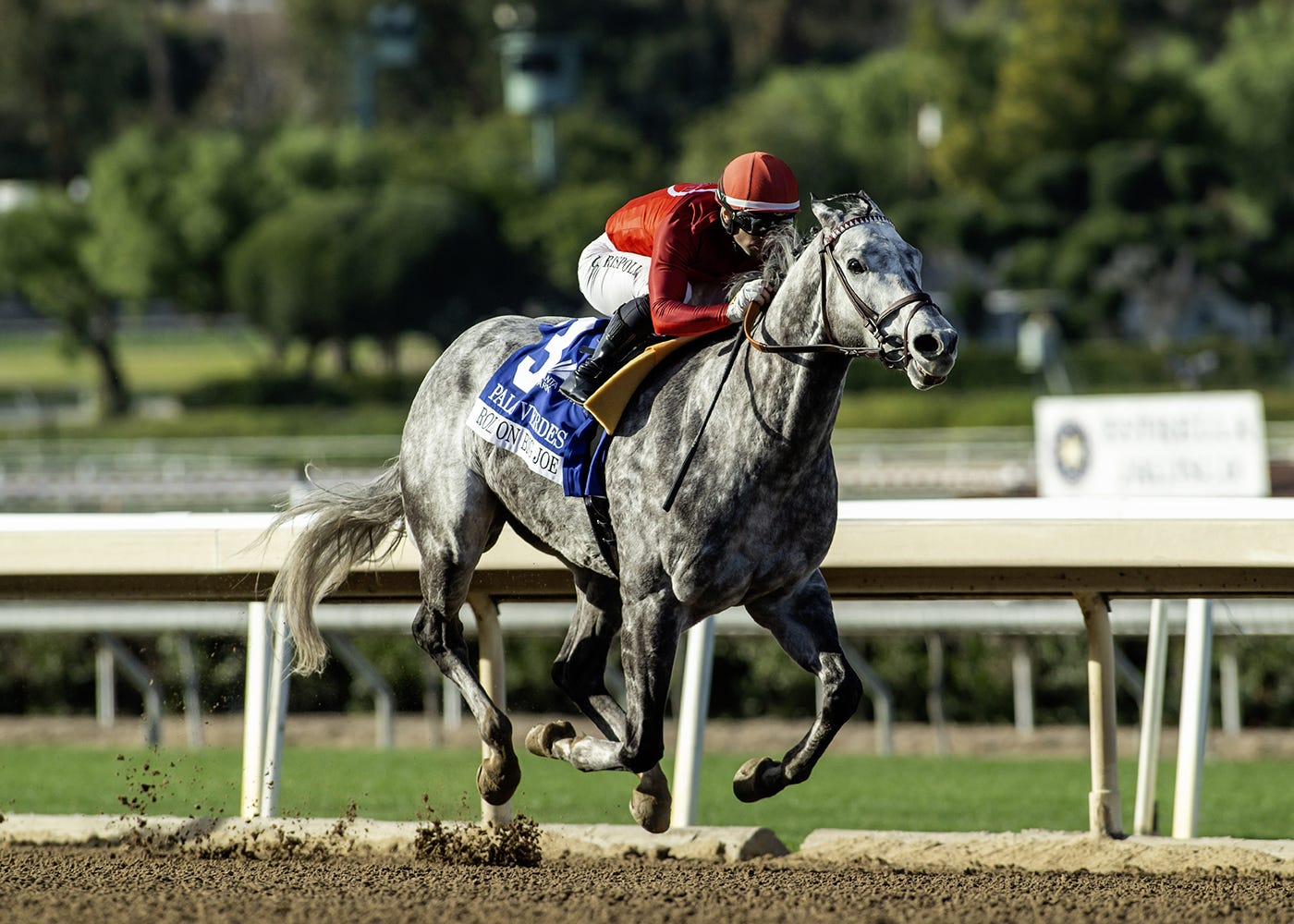 Roll On Big Joe headed into Grade 1 company for Bing Crosby