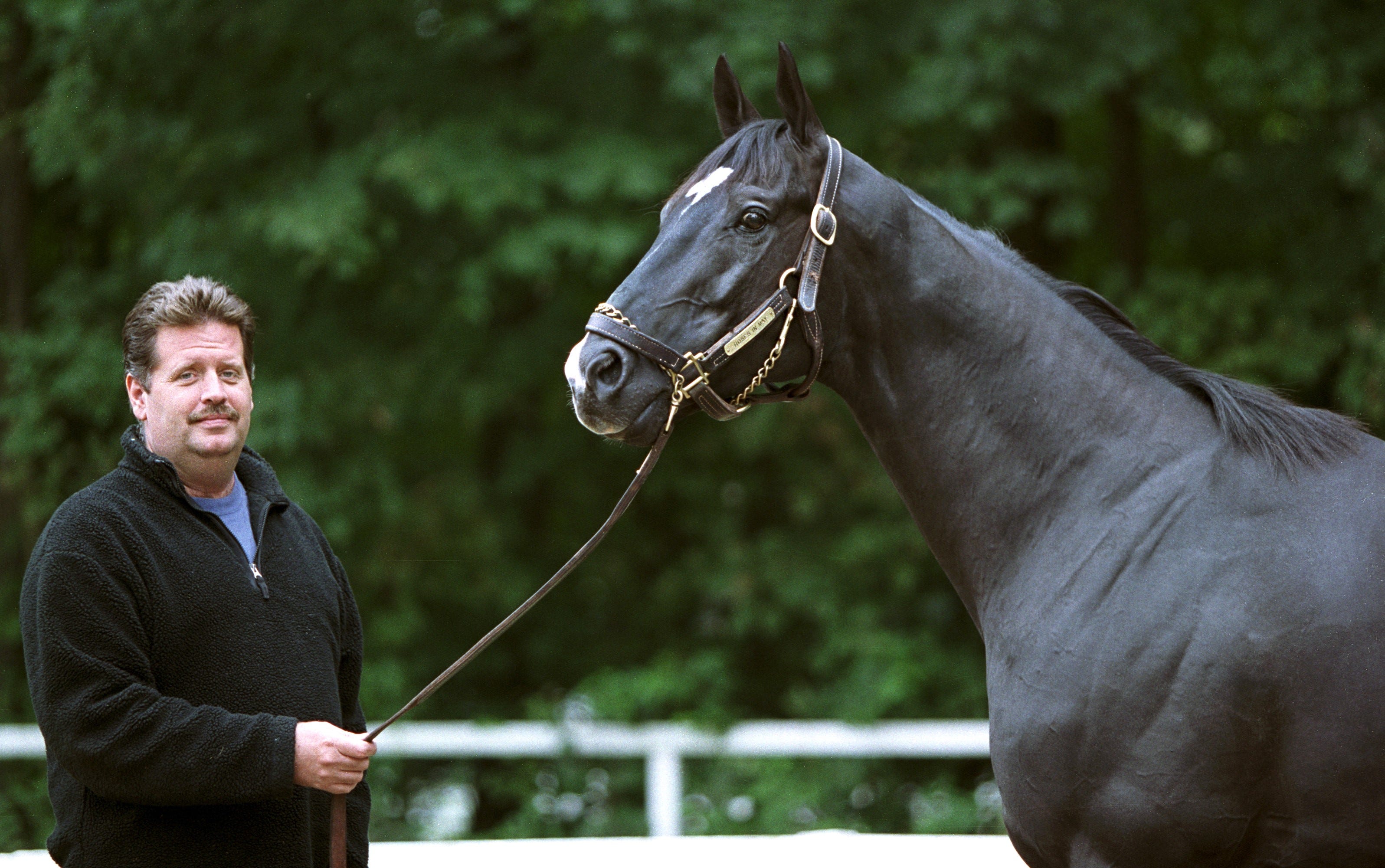 Dubai World Cup winner Roses in May dies in Japan at age 25