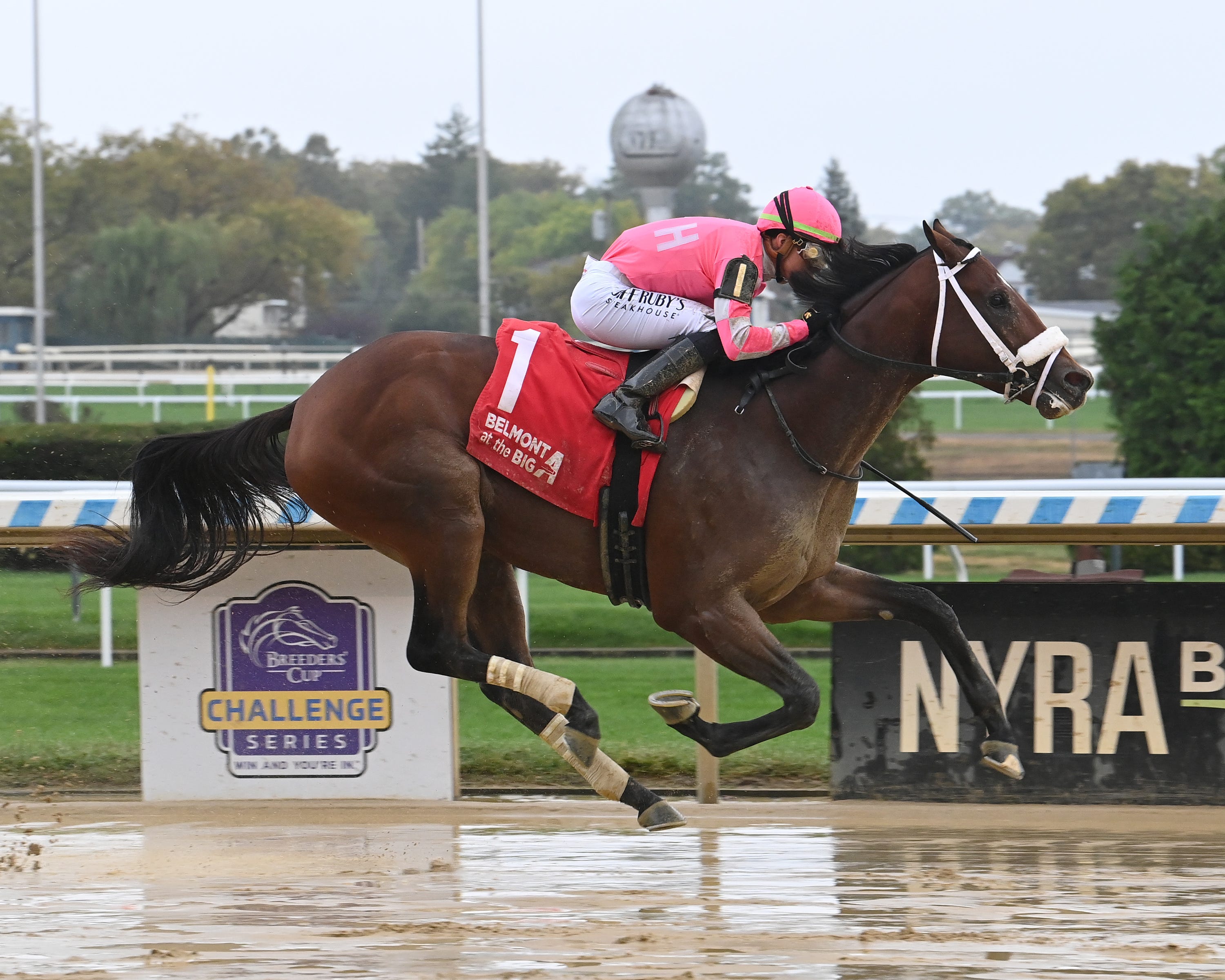 Weaver trainees look to be class of co-feature