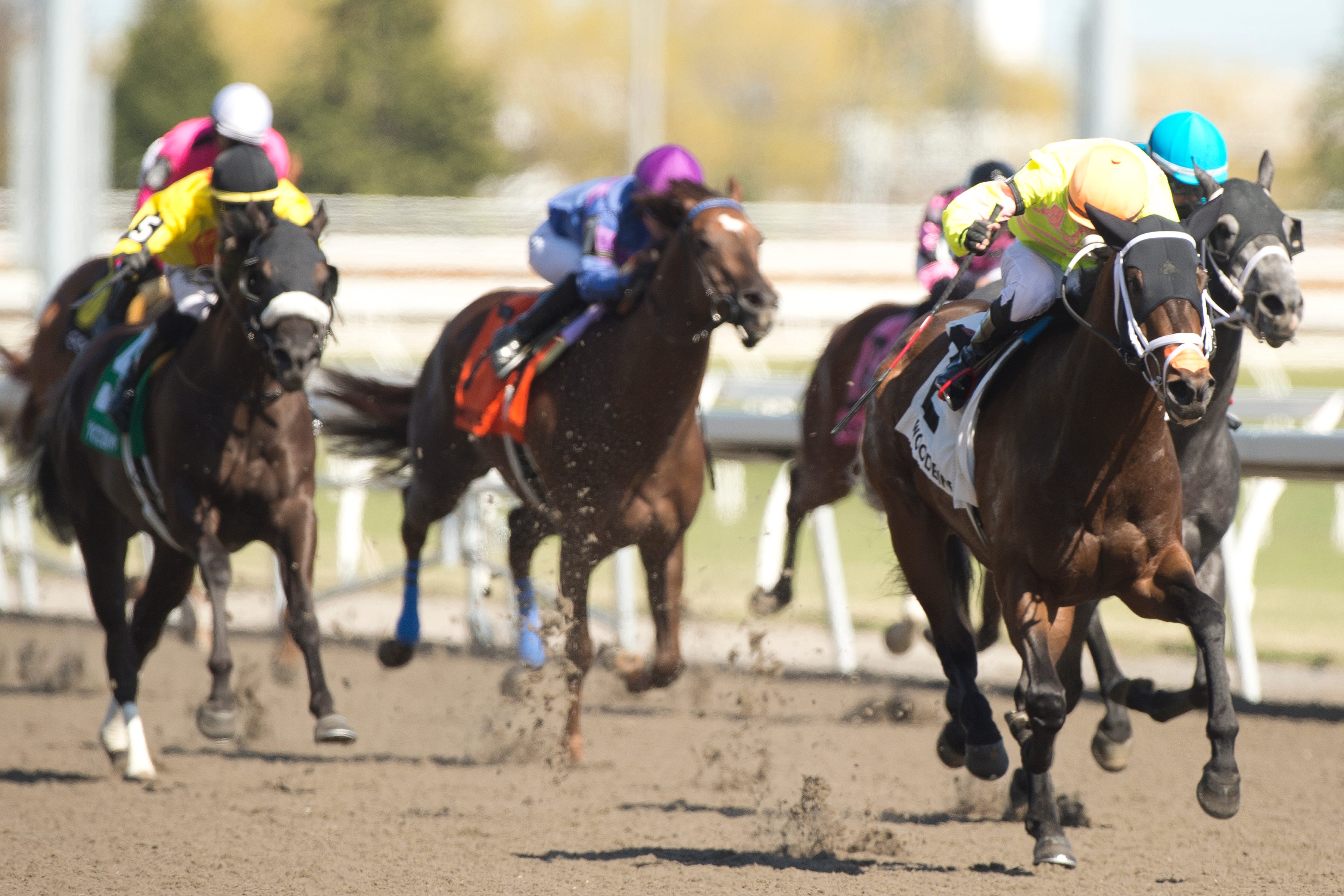 Mansetti enters King's Plate picture with easy victory in Woodstock Stakes