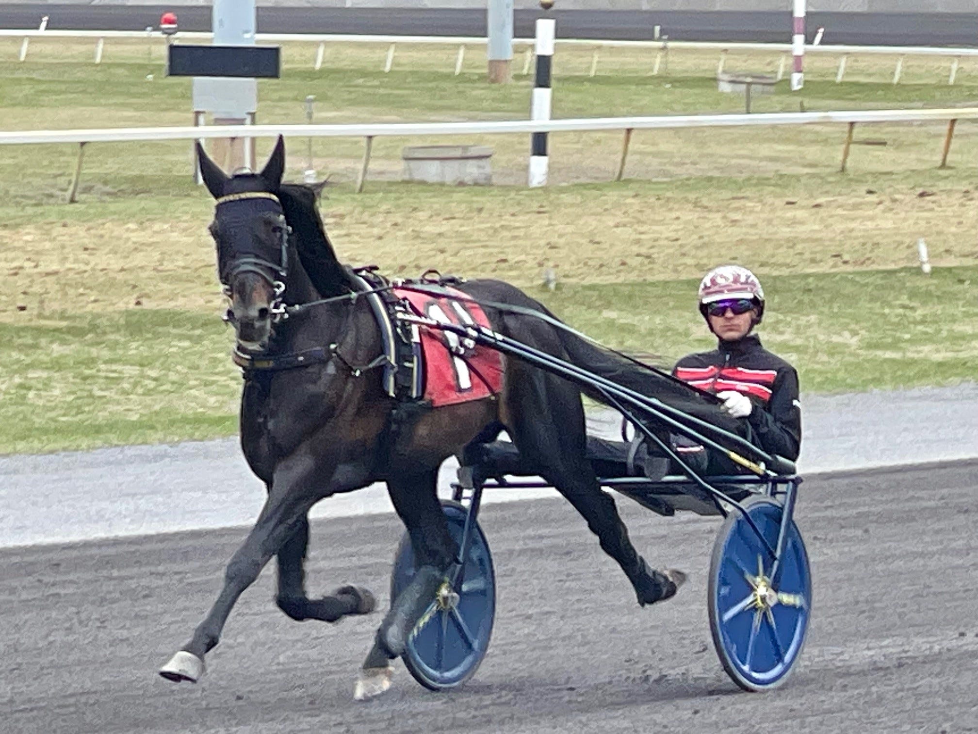 Meadowlands: Melander trotting pair kicks off his 2025 campaign