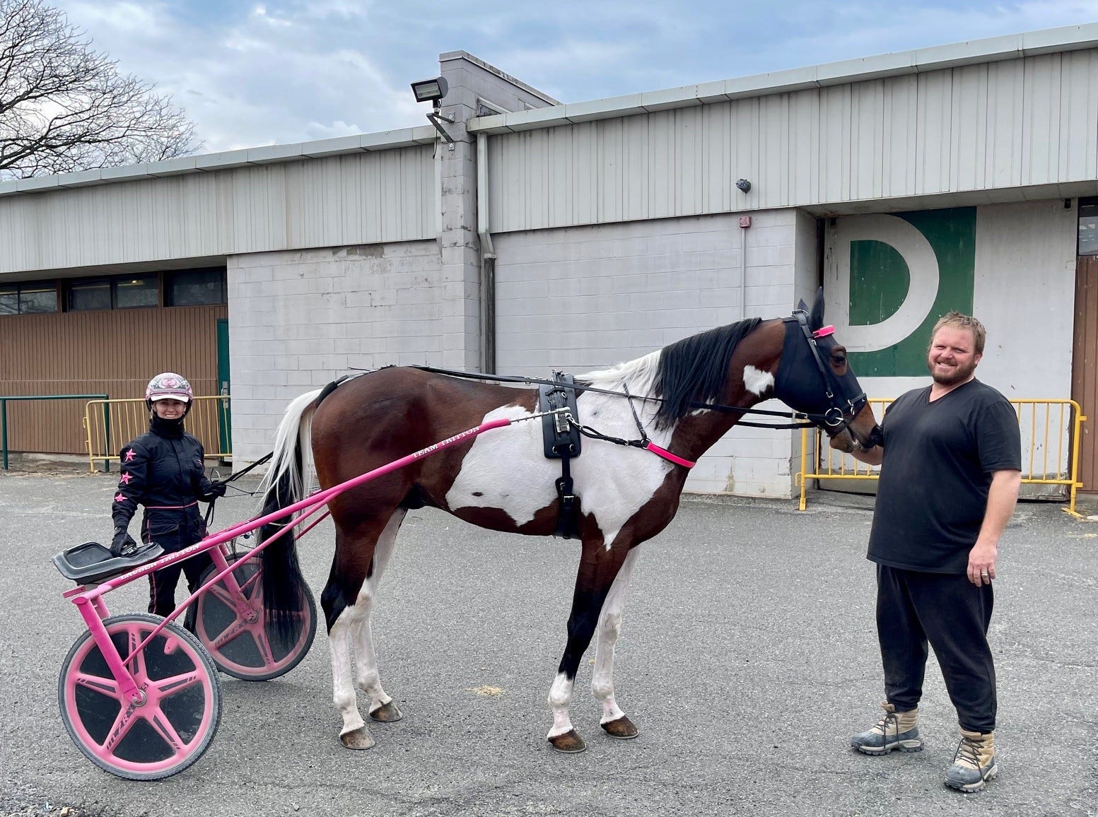 Harness: Horses of a different color