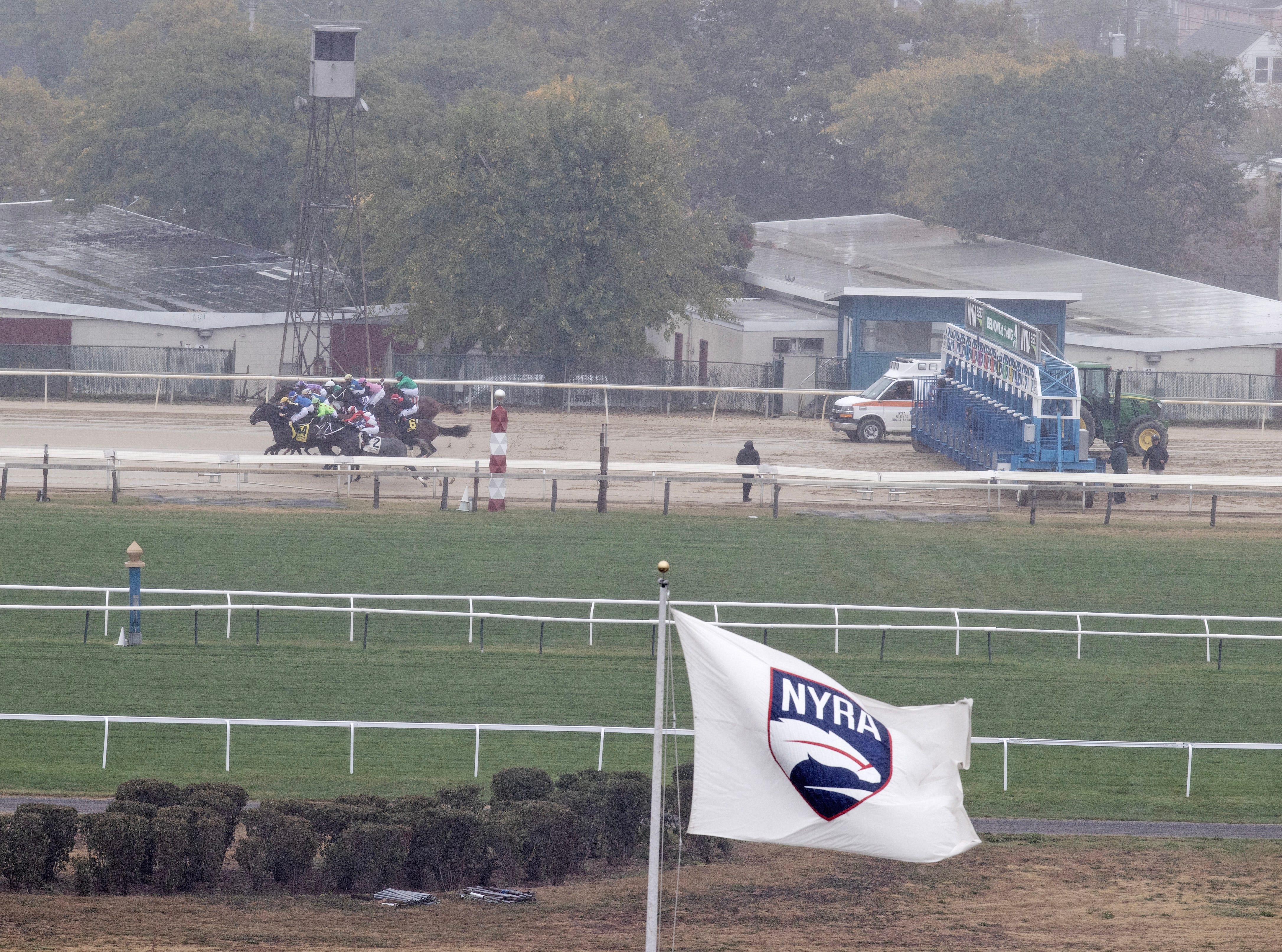 DRF's Horse Racing Playbook for Thursday, January 22, 2026