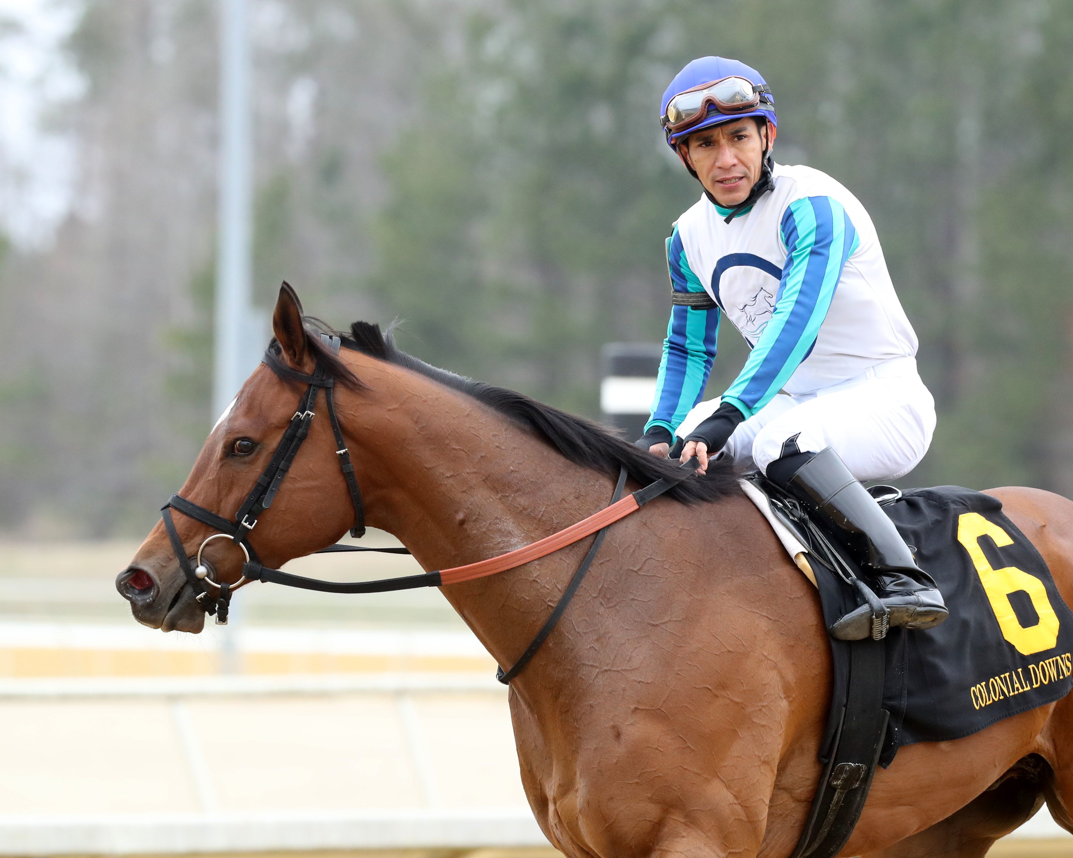 Book'em Danno pointed toward Churchill Downs Stakes