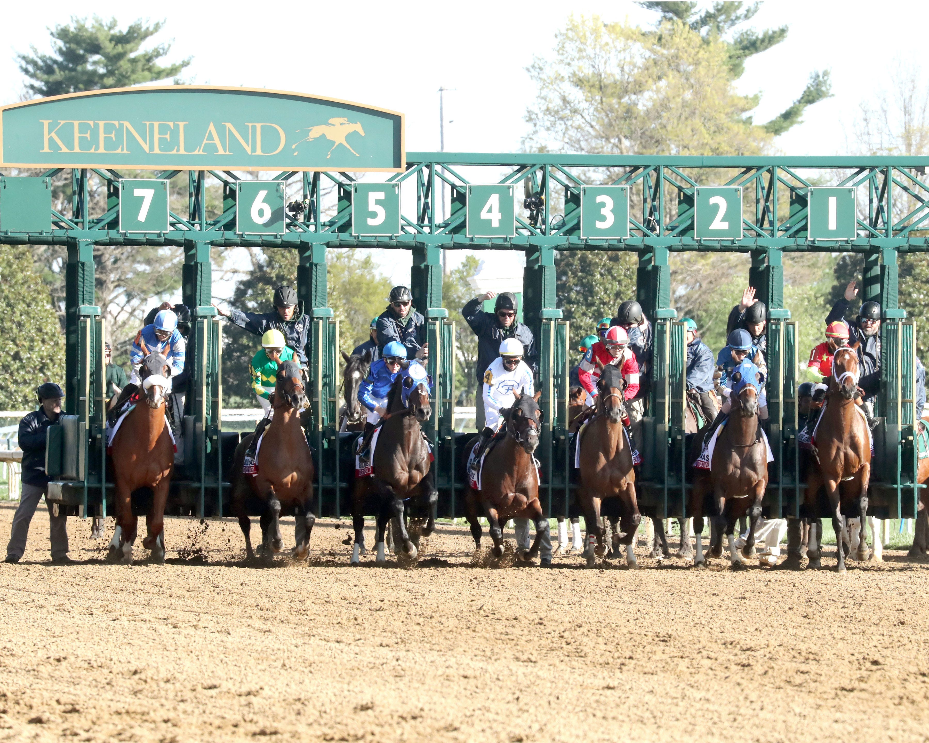 Horse, rider escape serious injury after spill results in no-contest