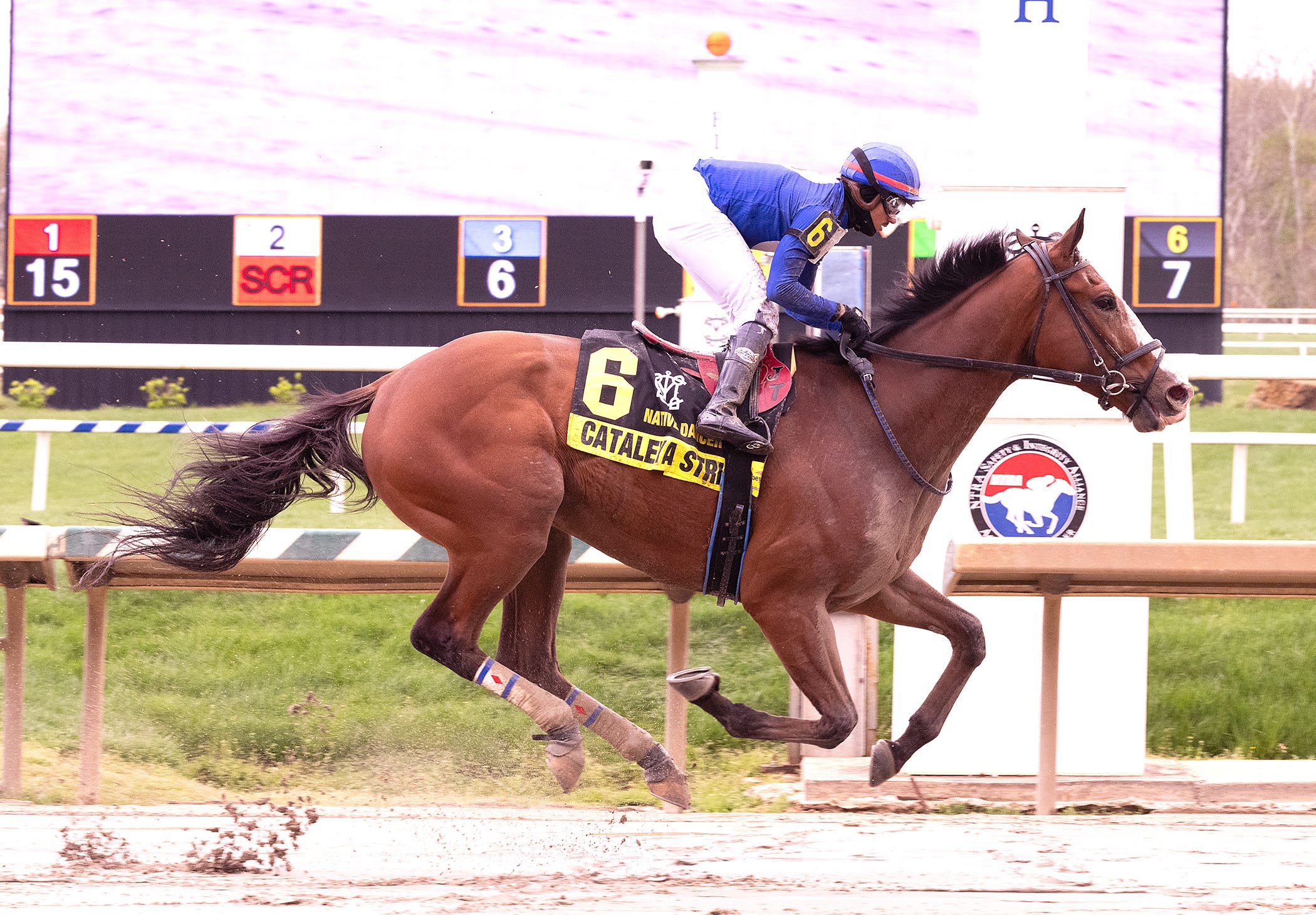 Cataleya Strike surges in stretch for Native Dancer victory