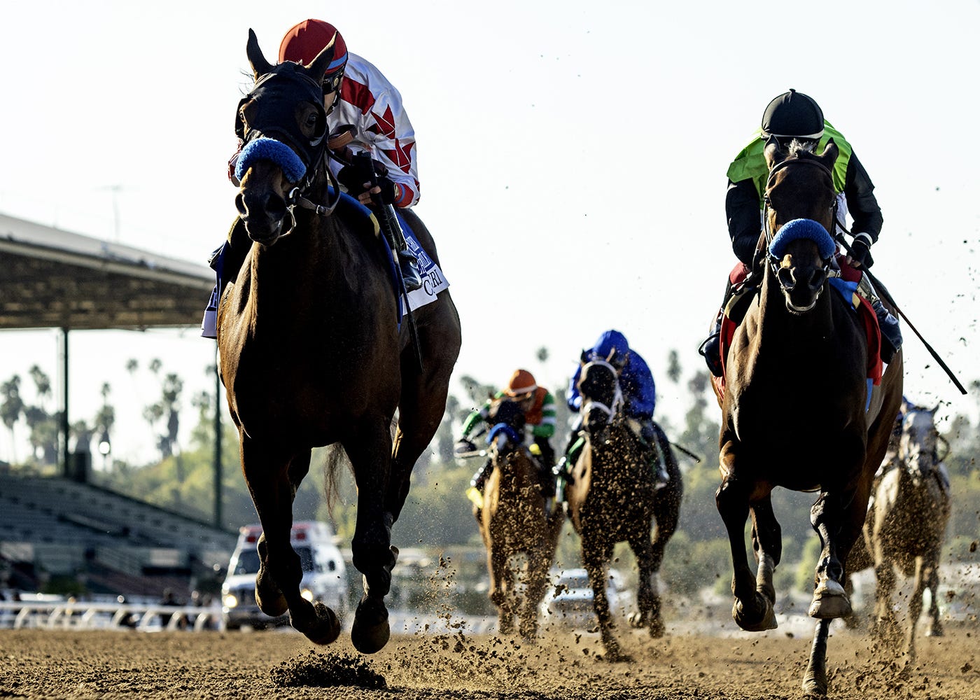 After hard-luck Beholder, Richi may be slam dunk in the Santa Maria