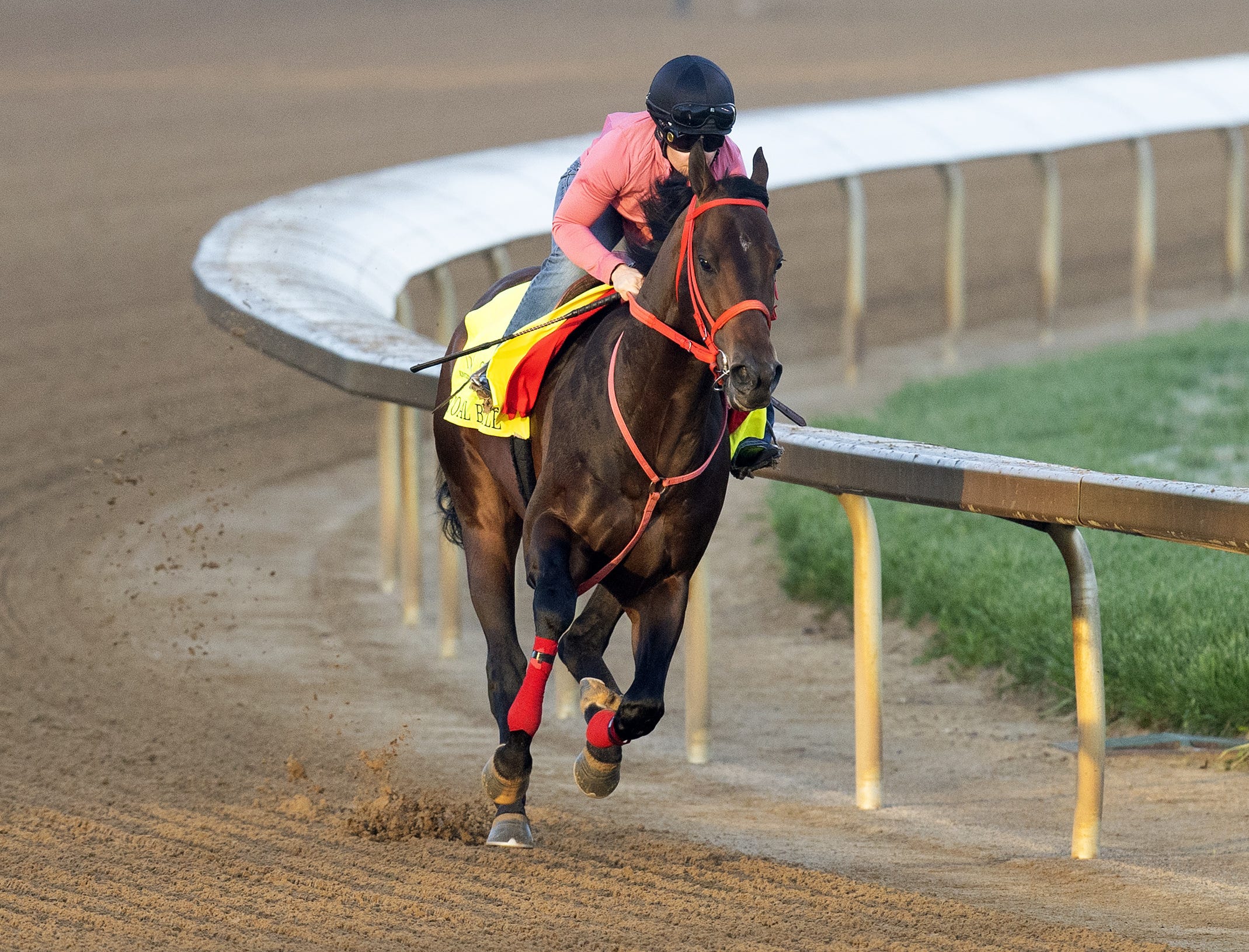 Kentucky Derby 2025: Coal Battle, Admire Daytona work at Churchill