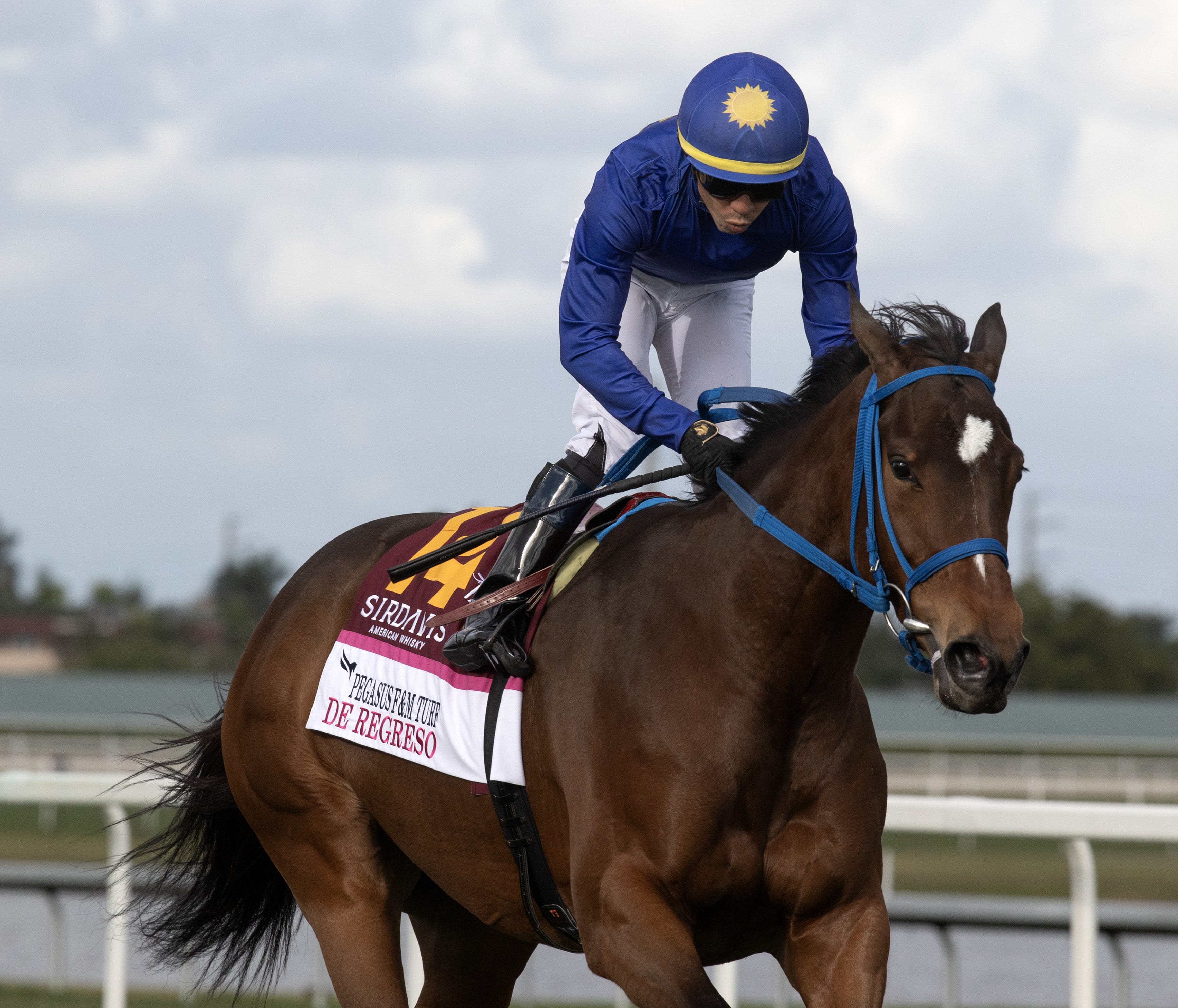 Former stakes winners look to recapture old form