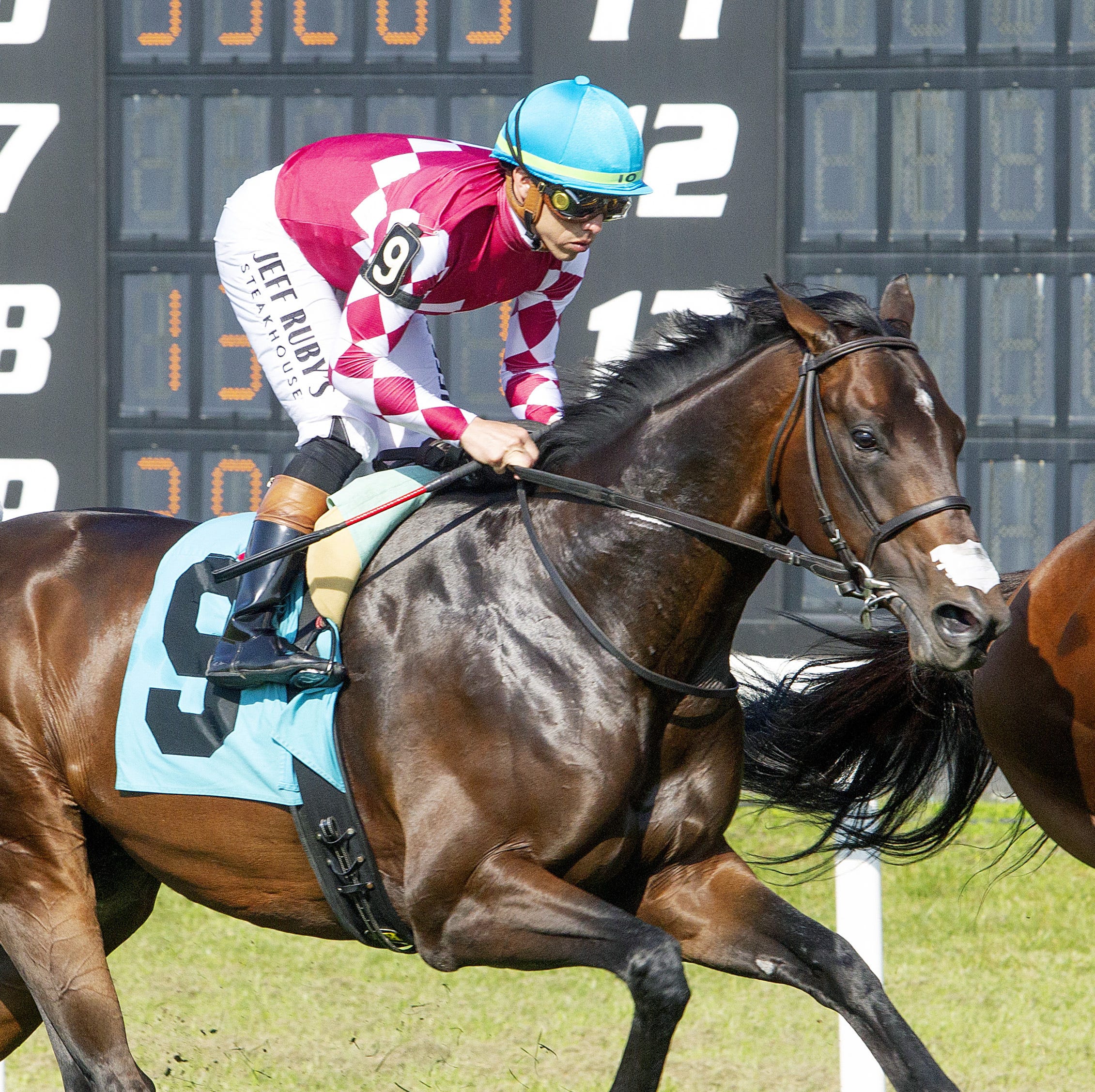 Penn Mile an opportune time for Dream On to deliver