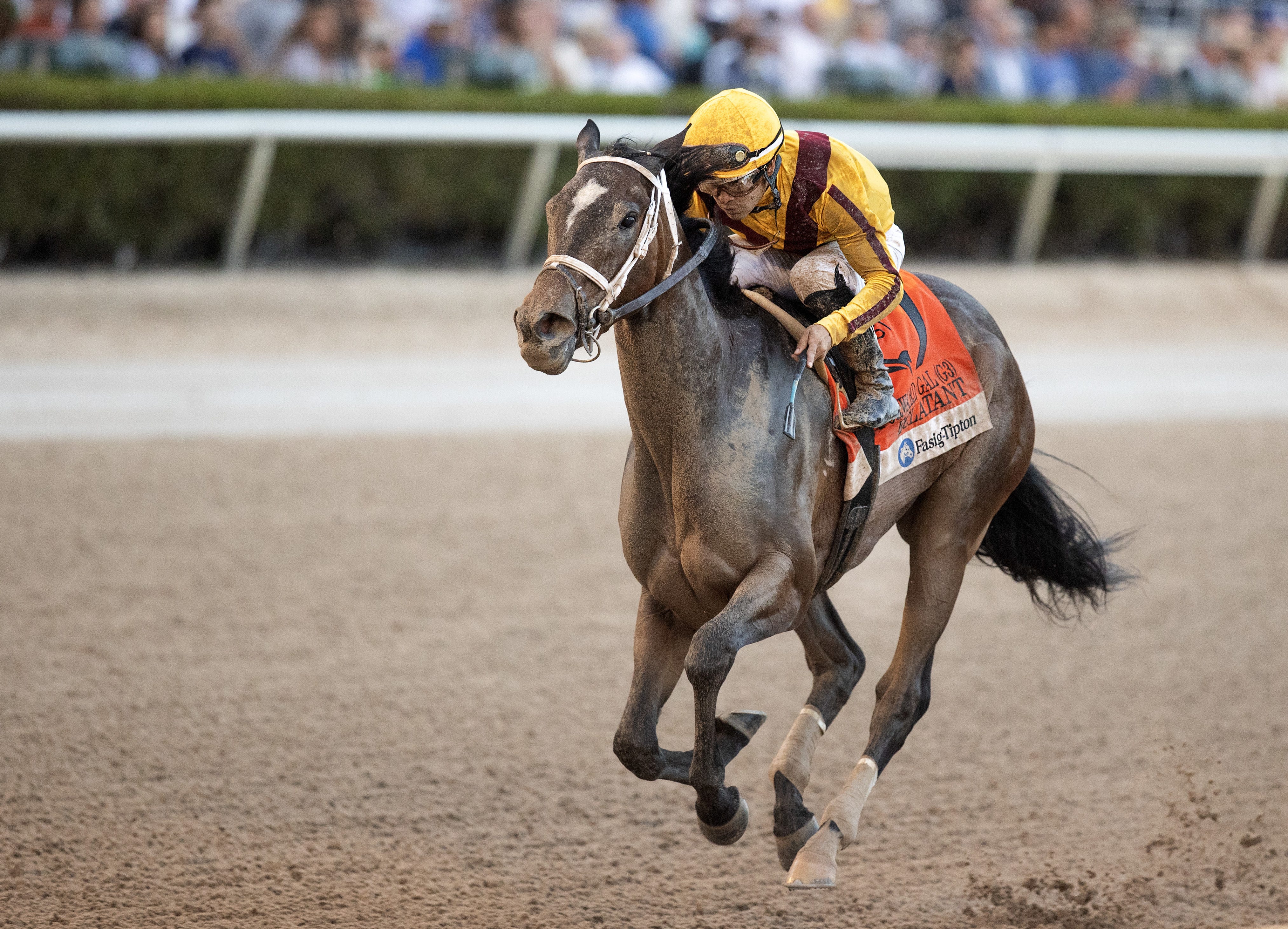 Ten last-out winners square off in Eight Belles