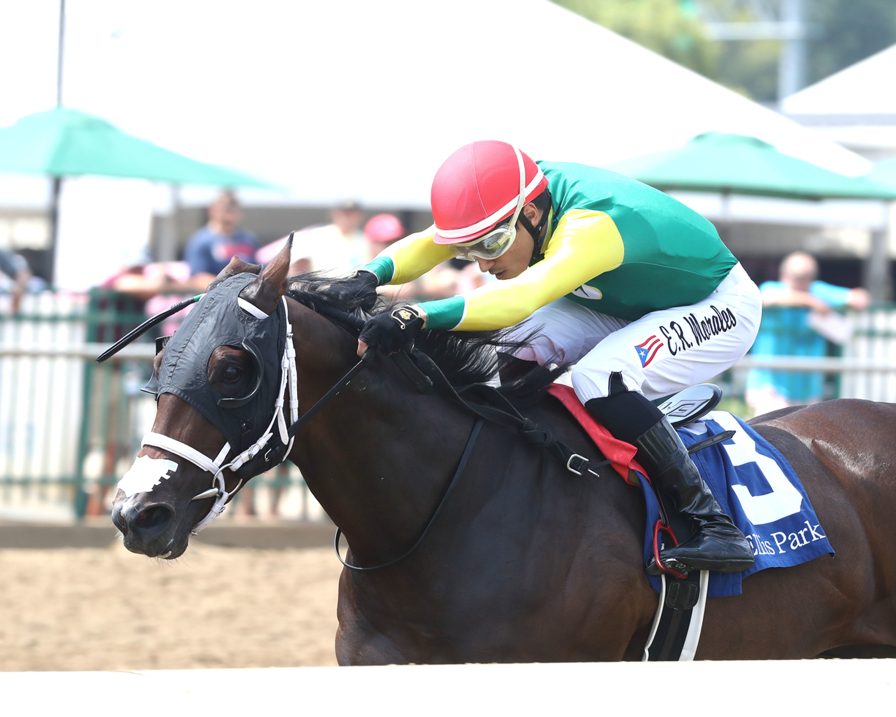 Well-matched fillies headline stocked card