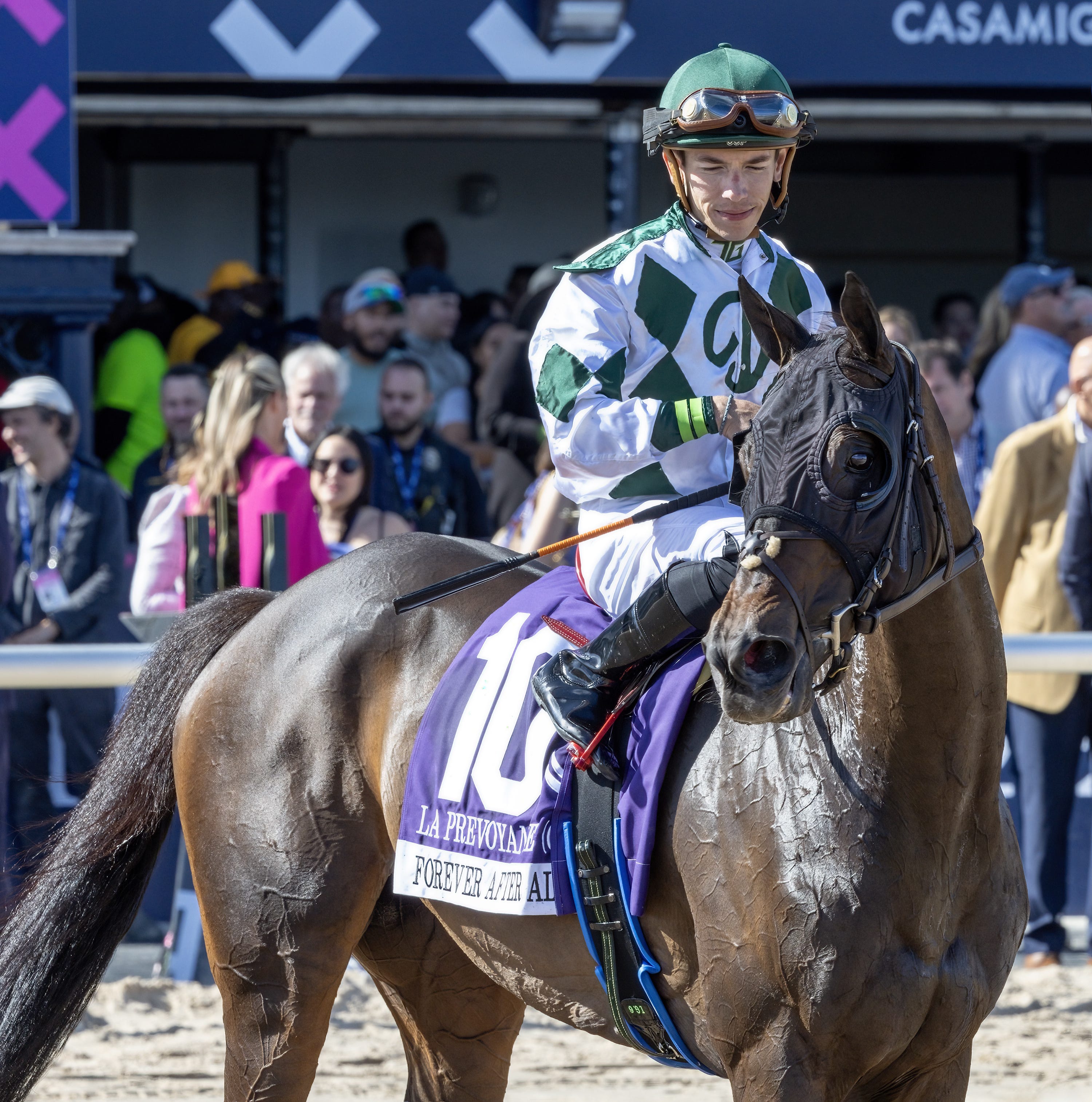 Bewitch lacks a standout this year, but a competitive field signs on