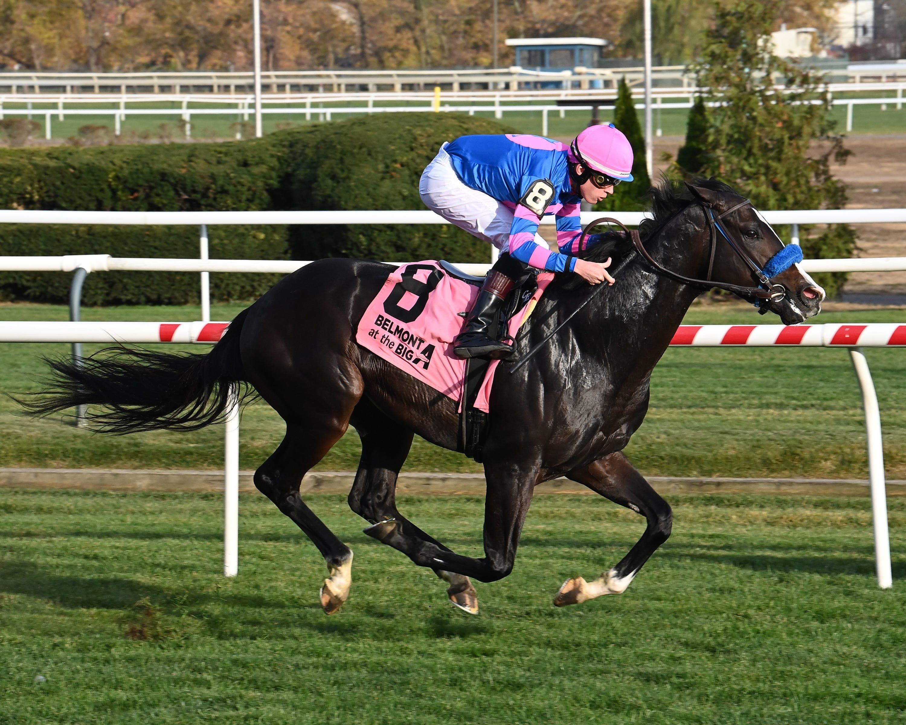 Friend Ofthe Devil will be flying on front end in stallion stakes