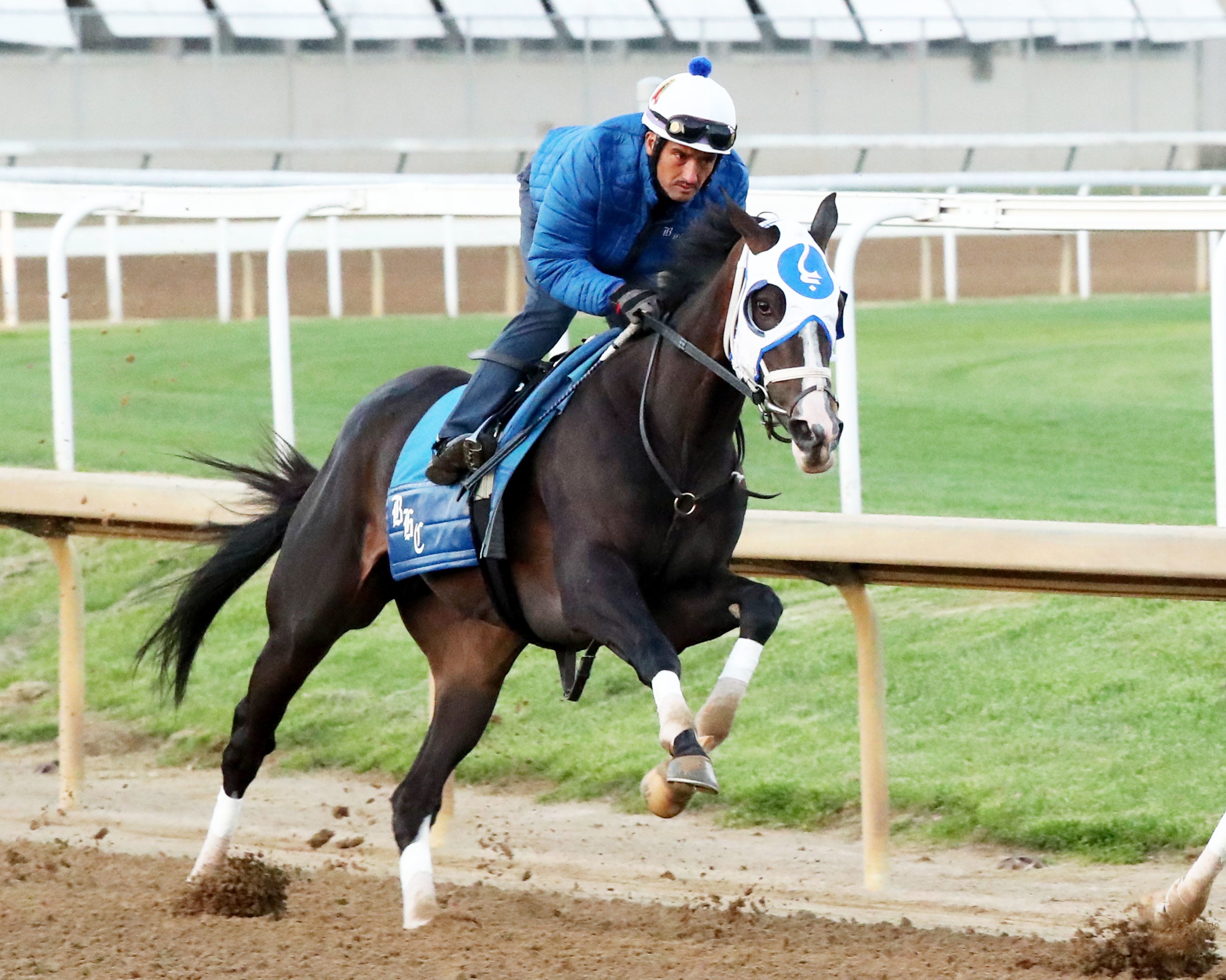 Good Cheer turns in serious pre-Oaks work