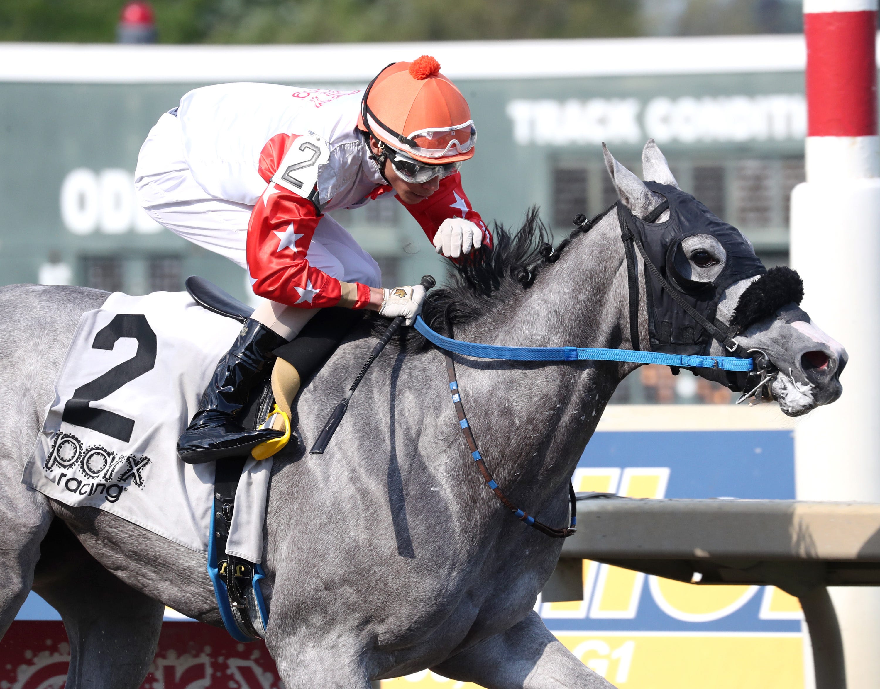 Thunderous break should serve Gray Lightning well