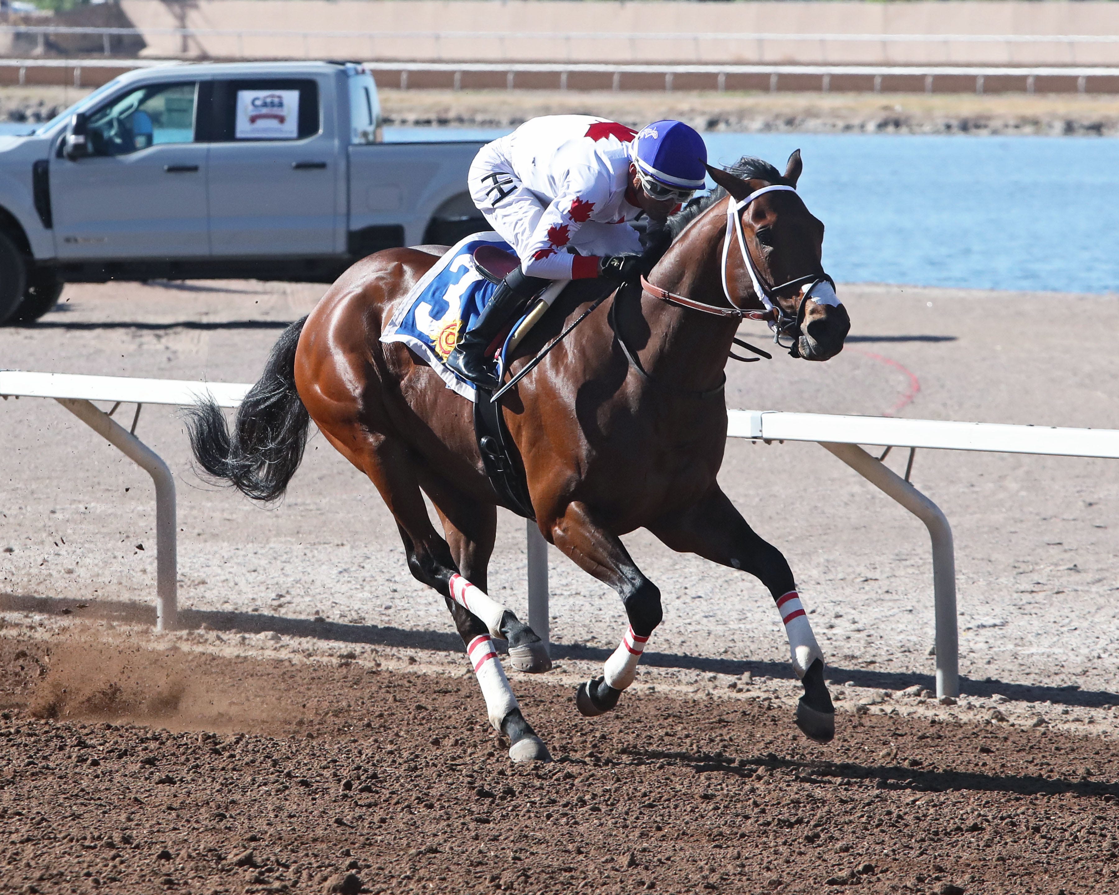 Heroic Move settled in, targeting Steve Sexton Mile repeat