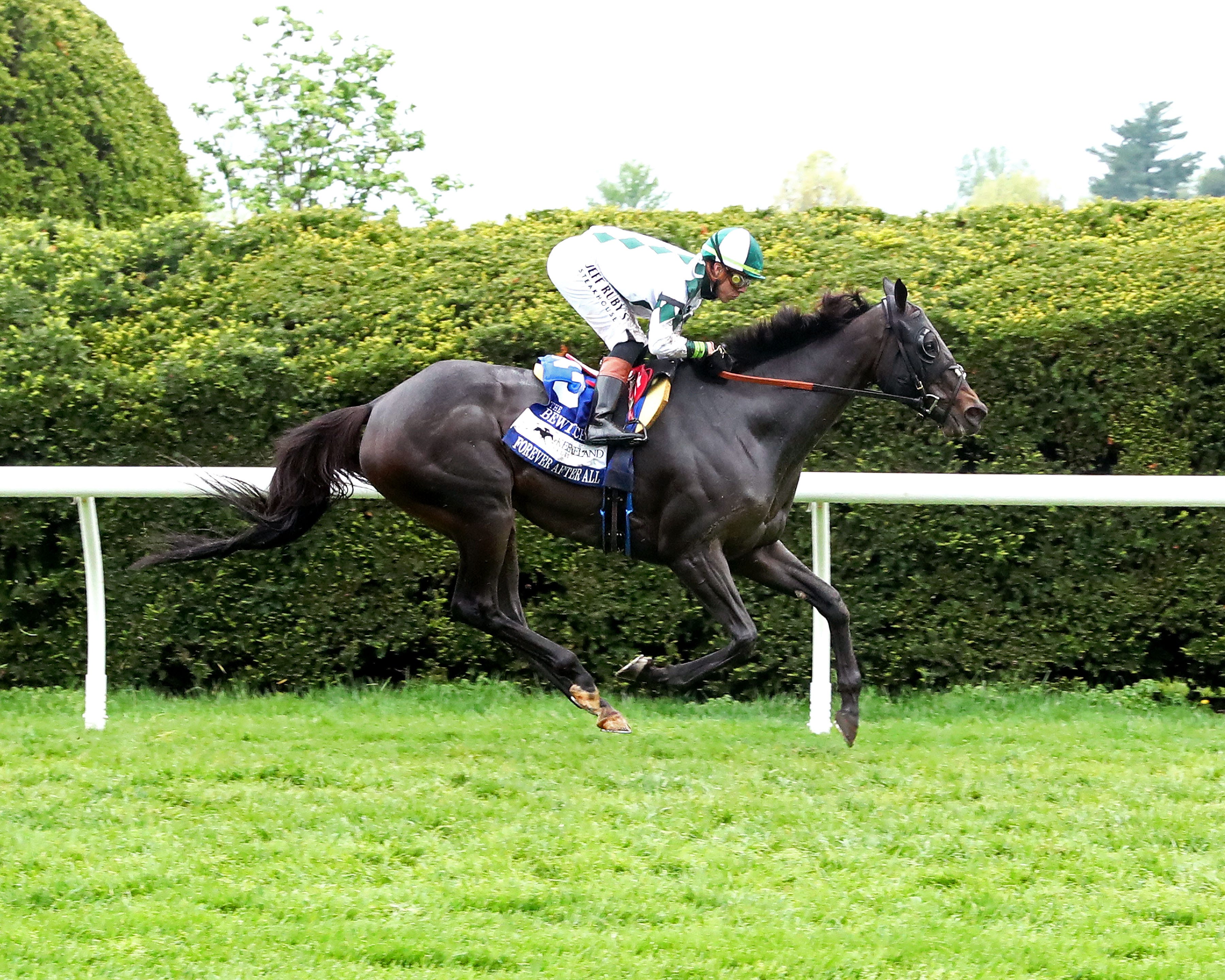 Forever After All clinches share of trainer’s title for Walsh in soggy ...