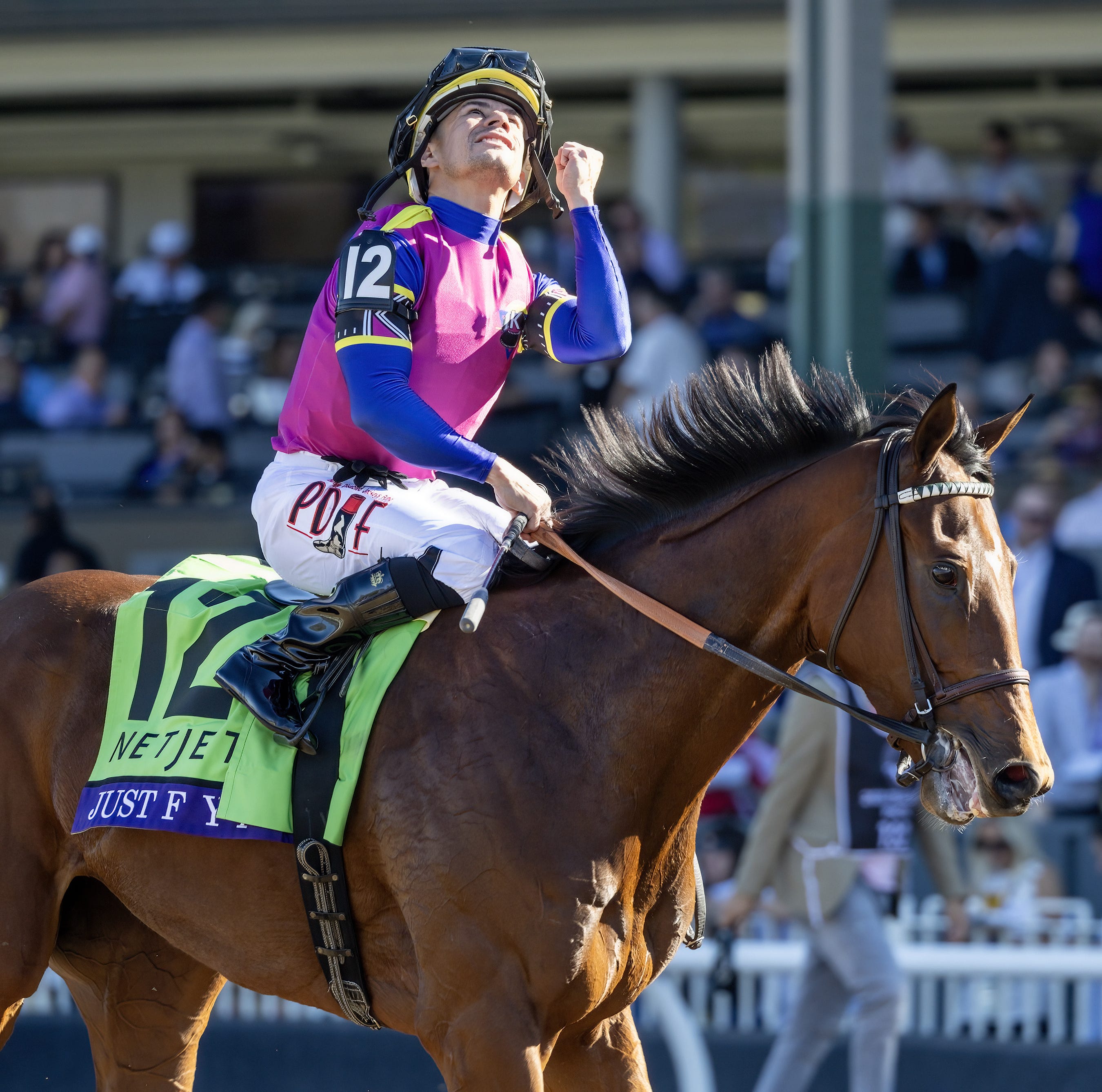 Just F Y I, champion juvenile filly of 2023, retired; will be bred to ...