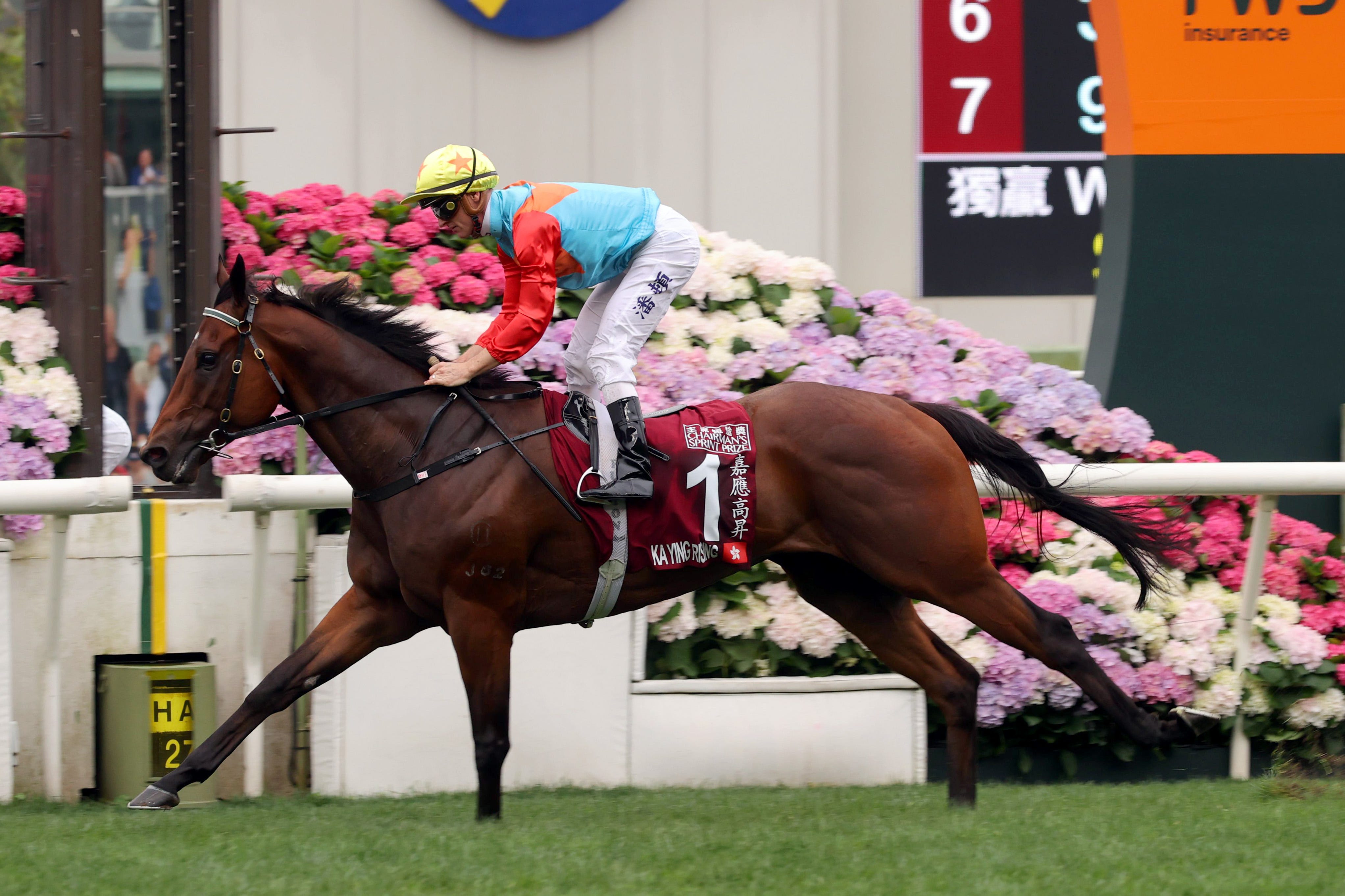 Hong Kong: Ka Ying Rising notches 12th consecutive win with Chairman’s ...