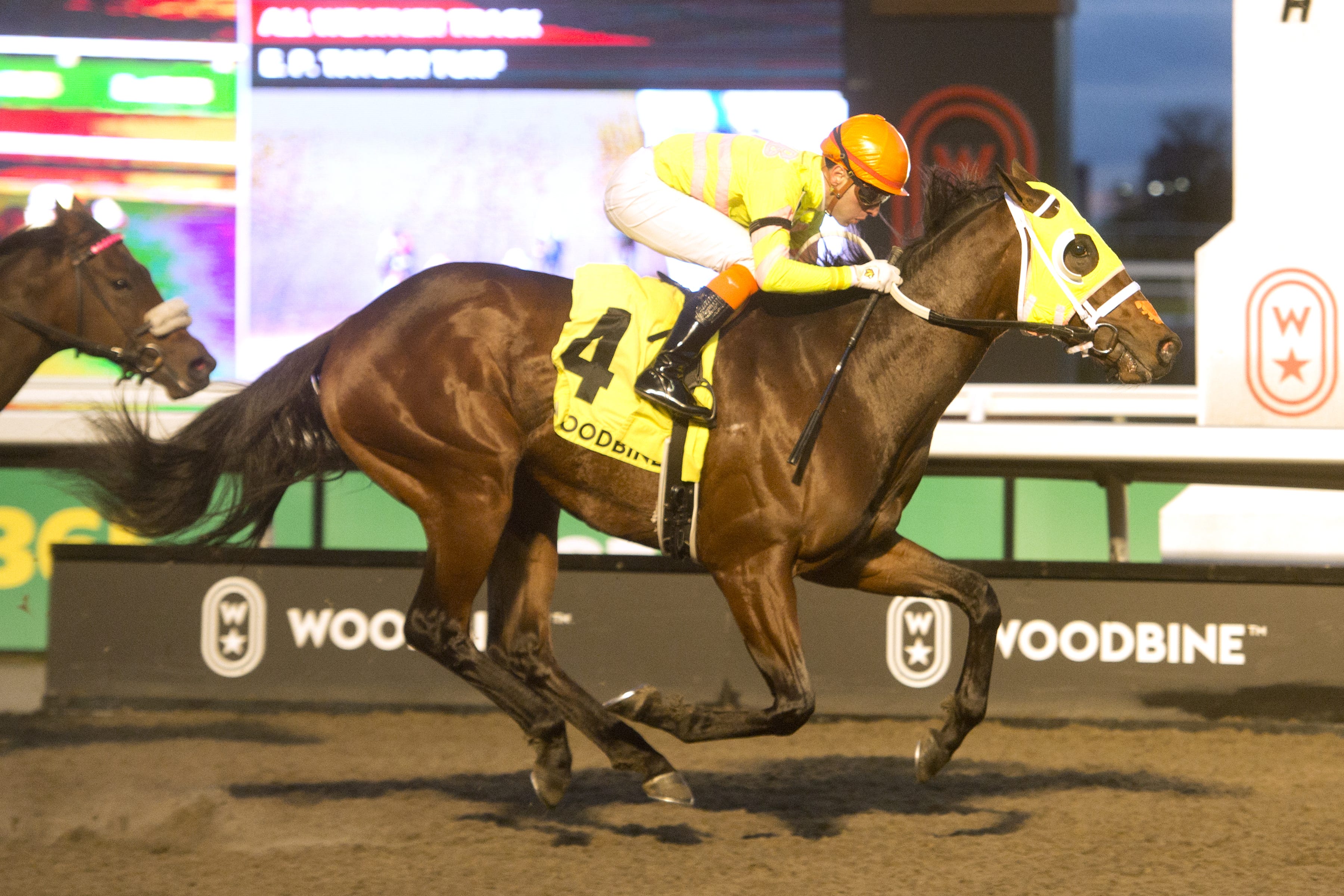 Mansetti comes off bench for Woodstock Stakes