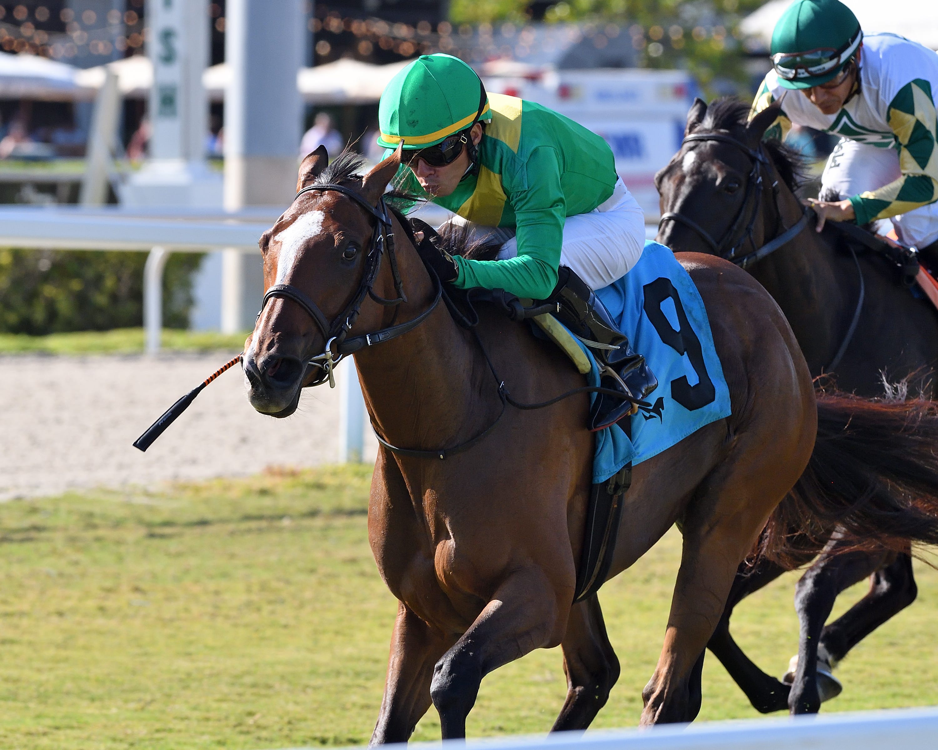 Ozara surges in stretch to easily win Monroe Stakes