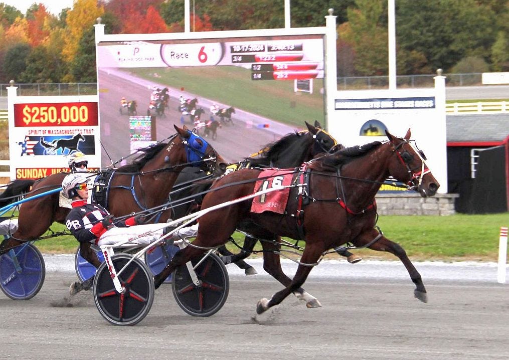 Plainridge: Live racing returns this Monday