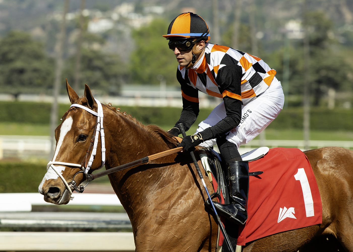 Queen Maxima looks to keep rolling in Monrovia Stakes