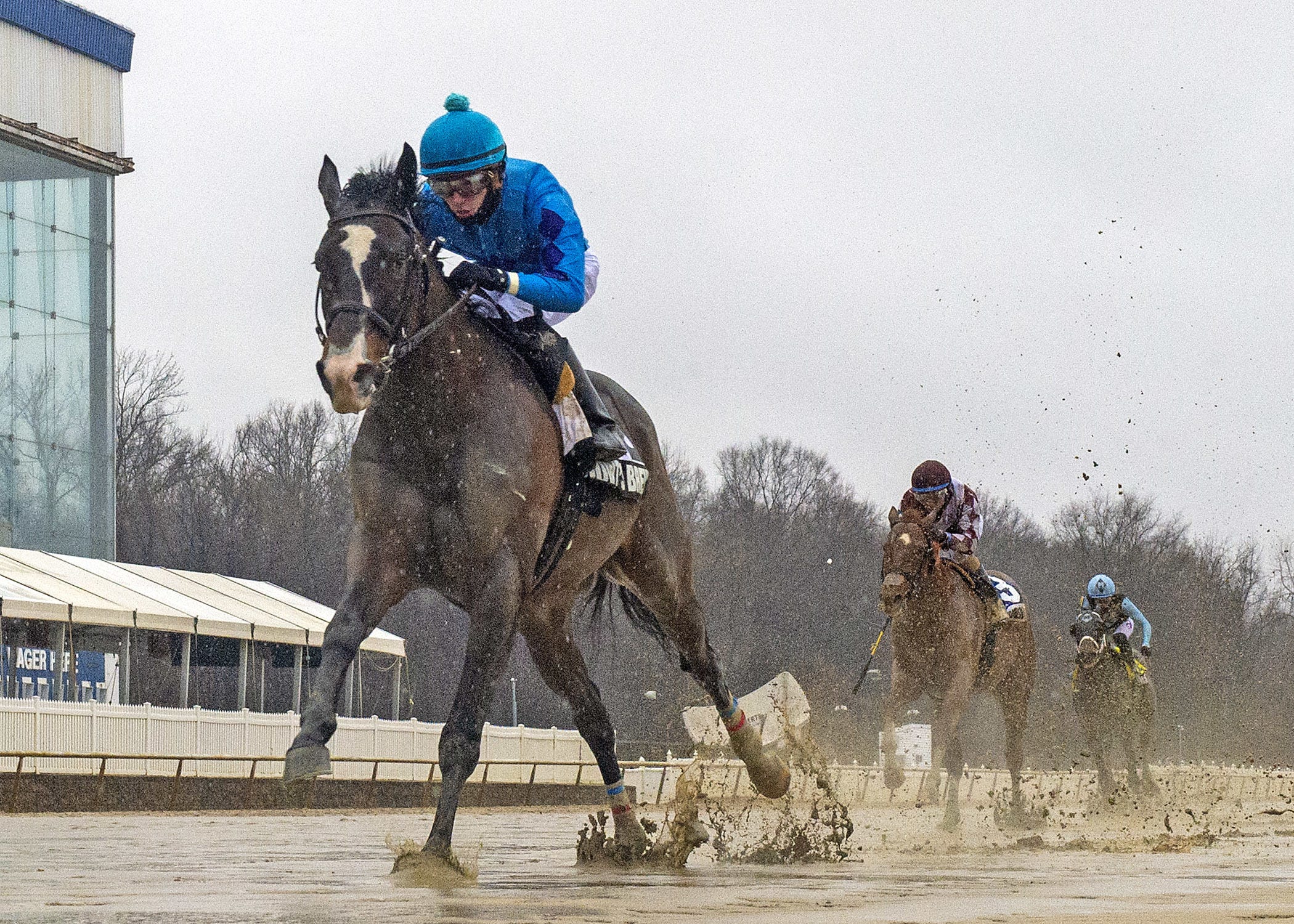 Carter: Allard confident in Quint's Brew