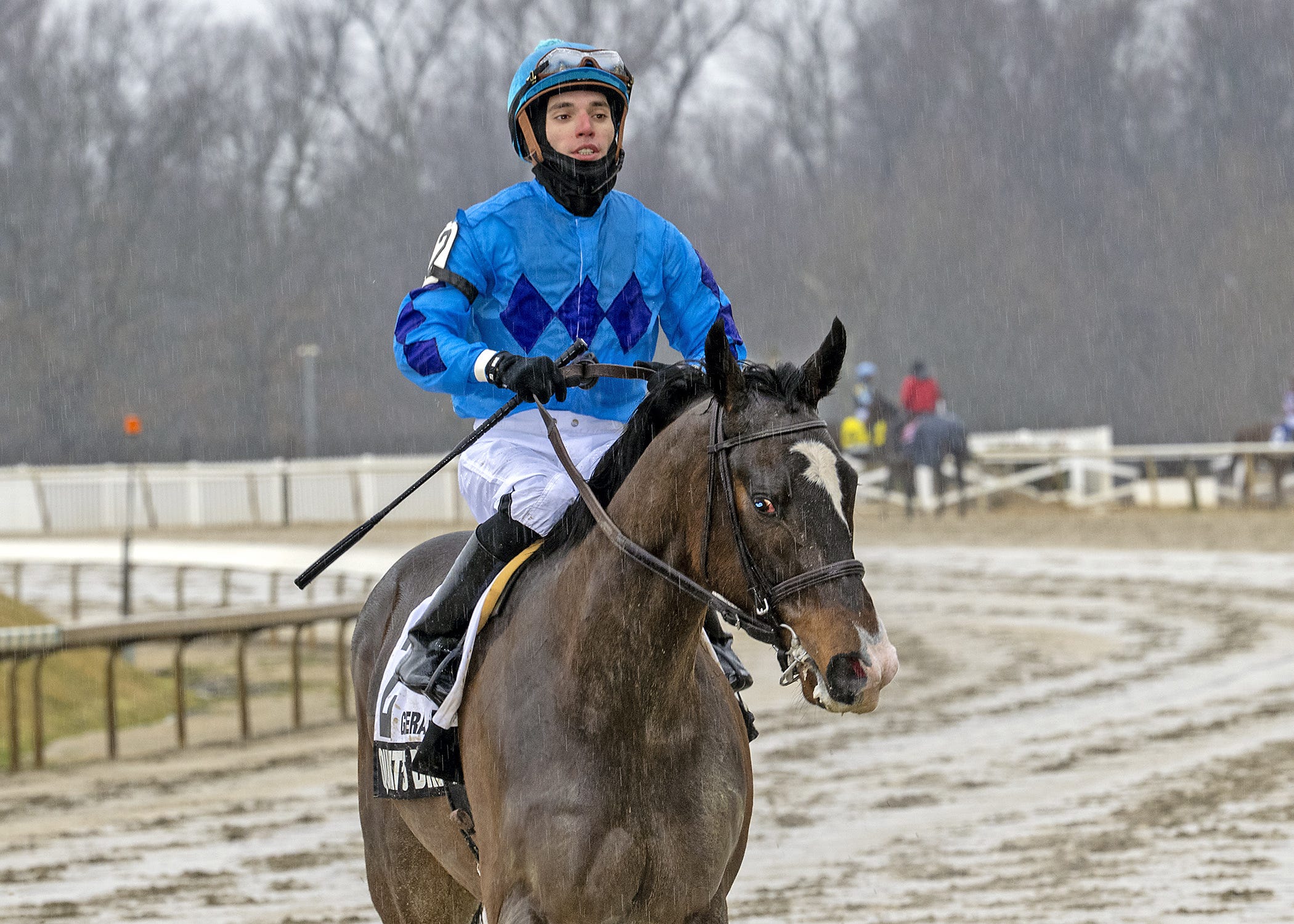 Quint's Brew has Nerud or Maryland Sprint up next