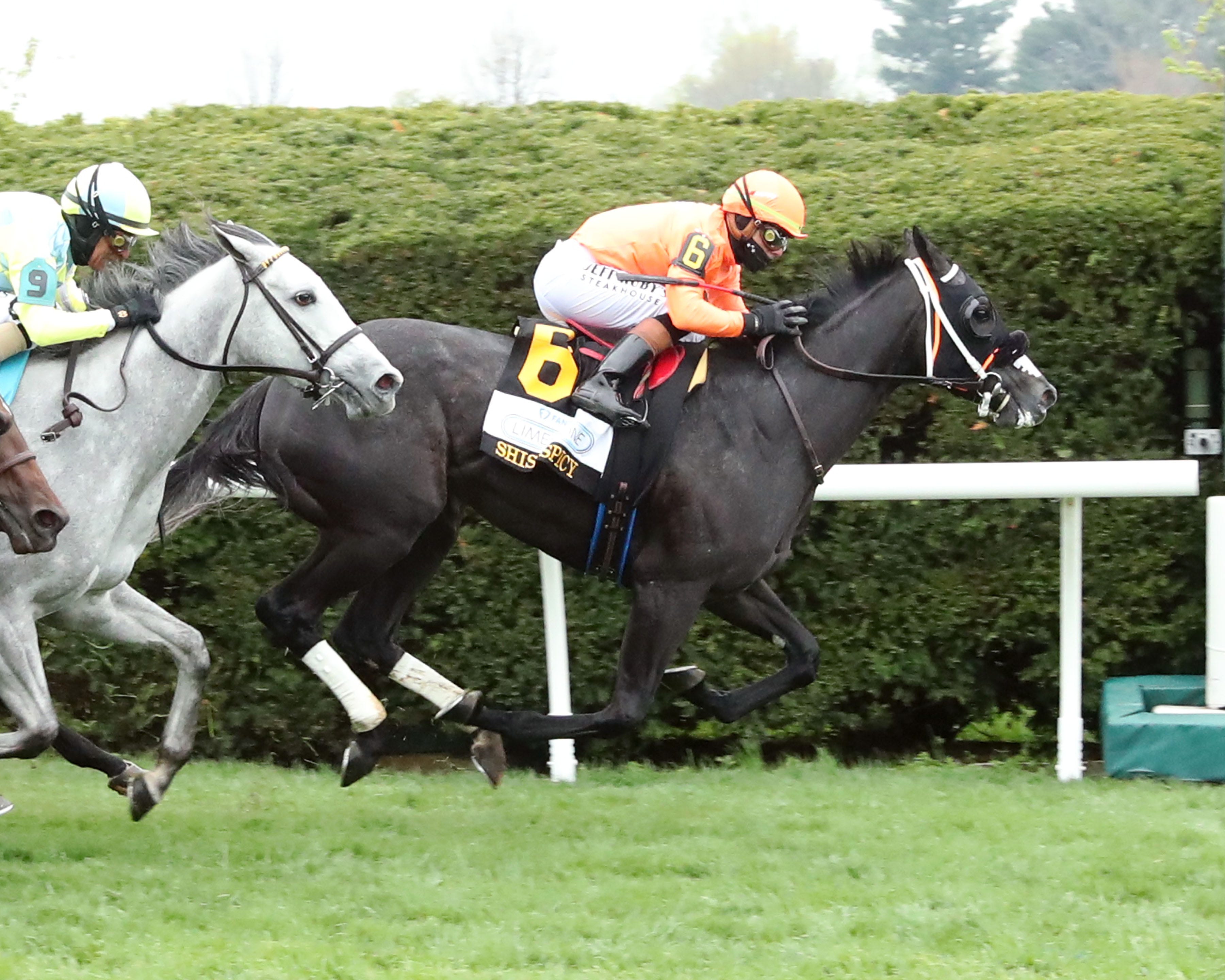 Limestone gets a replay in the Mamzelle